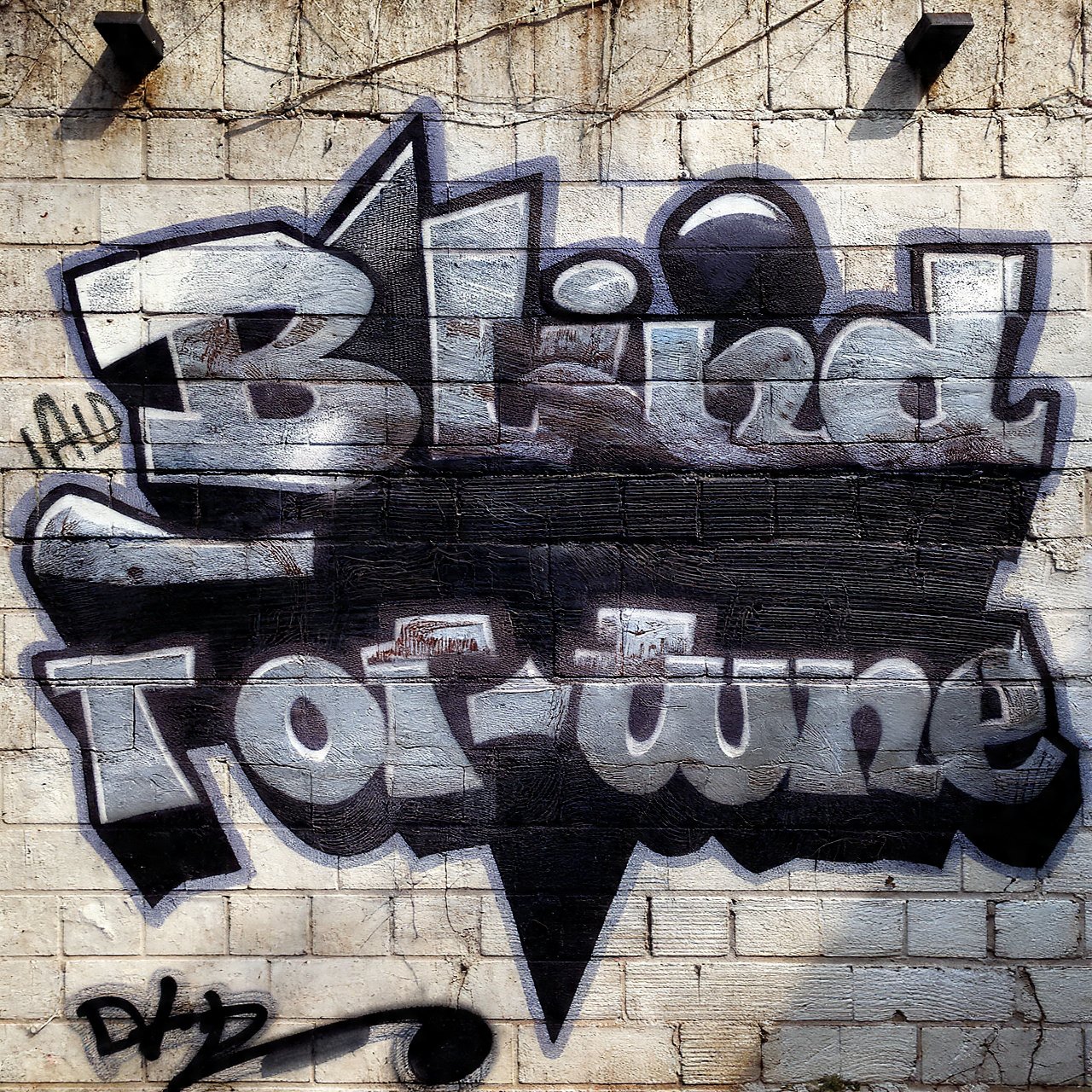 Blind Fortune - Payhip