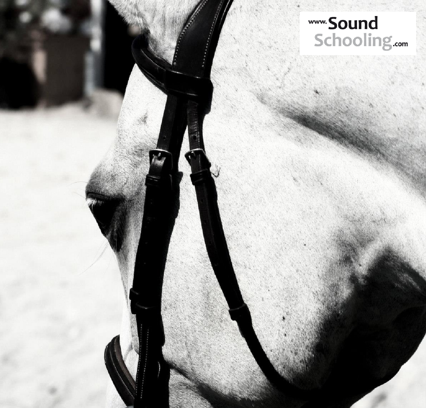 Music by Tom Hunt: Home - Payhip
