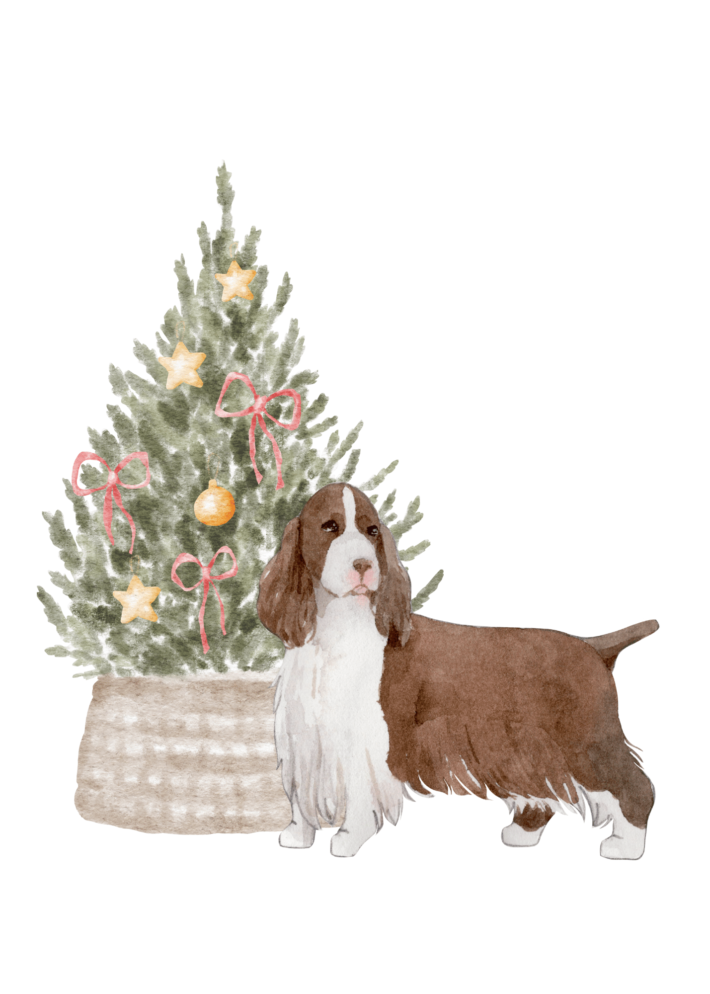 ENGLISH SPRINGER PRINTABLE CHRISTMAS NOTECARD .1 - Payhip