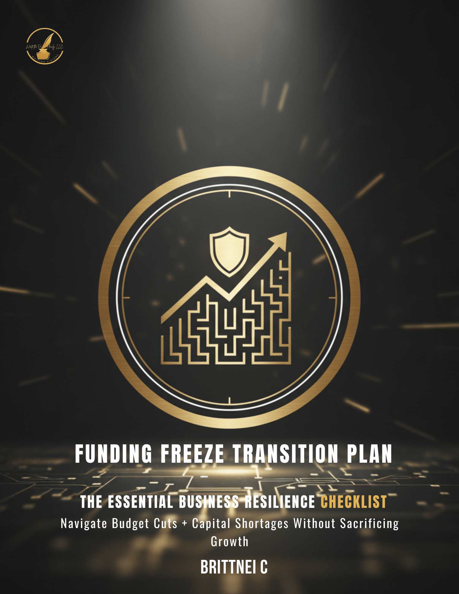 Funding Freeze Transition Plan: The Essential Business Resilience ...
