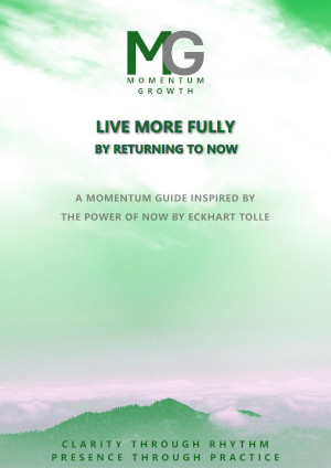 Live More Fully - Payhip