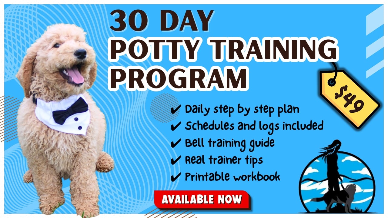 30 Day Potty Training Program - Payhip