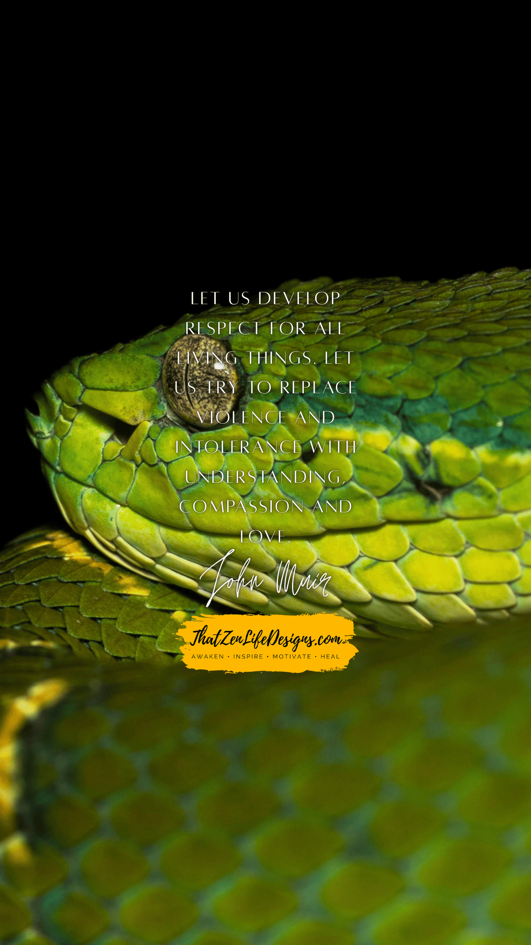 120. Let Us Develop Respect.. | Phone Wallpaper | Digital Download - Payhip