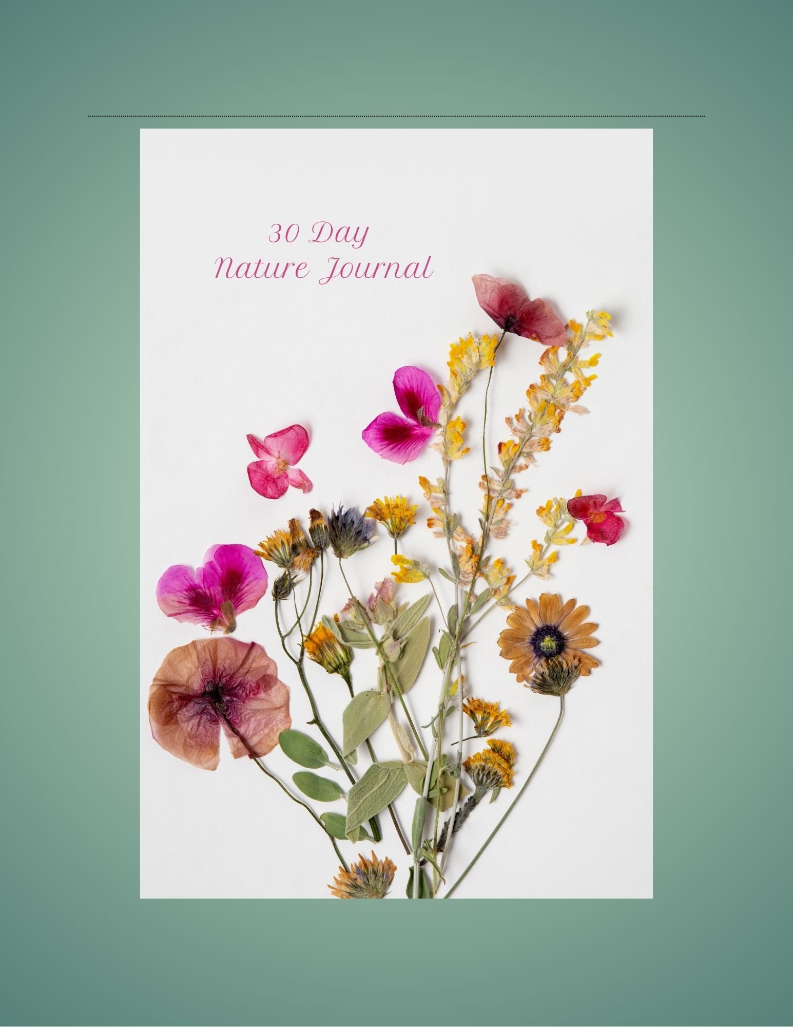 30 Day Nature Journal - Payhip