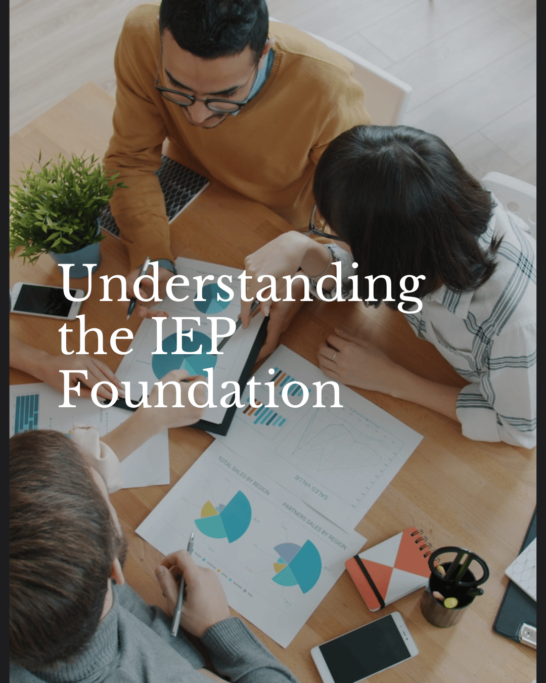 The Confident Parent’s IEP Playbook - Payhip