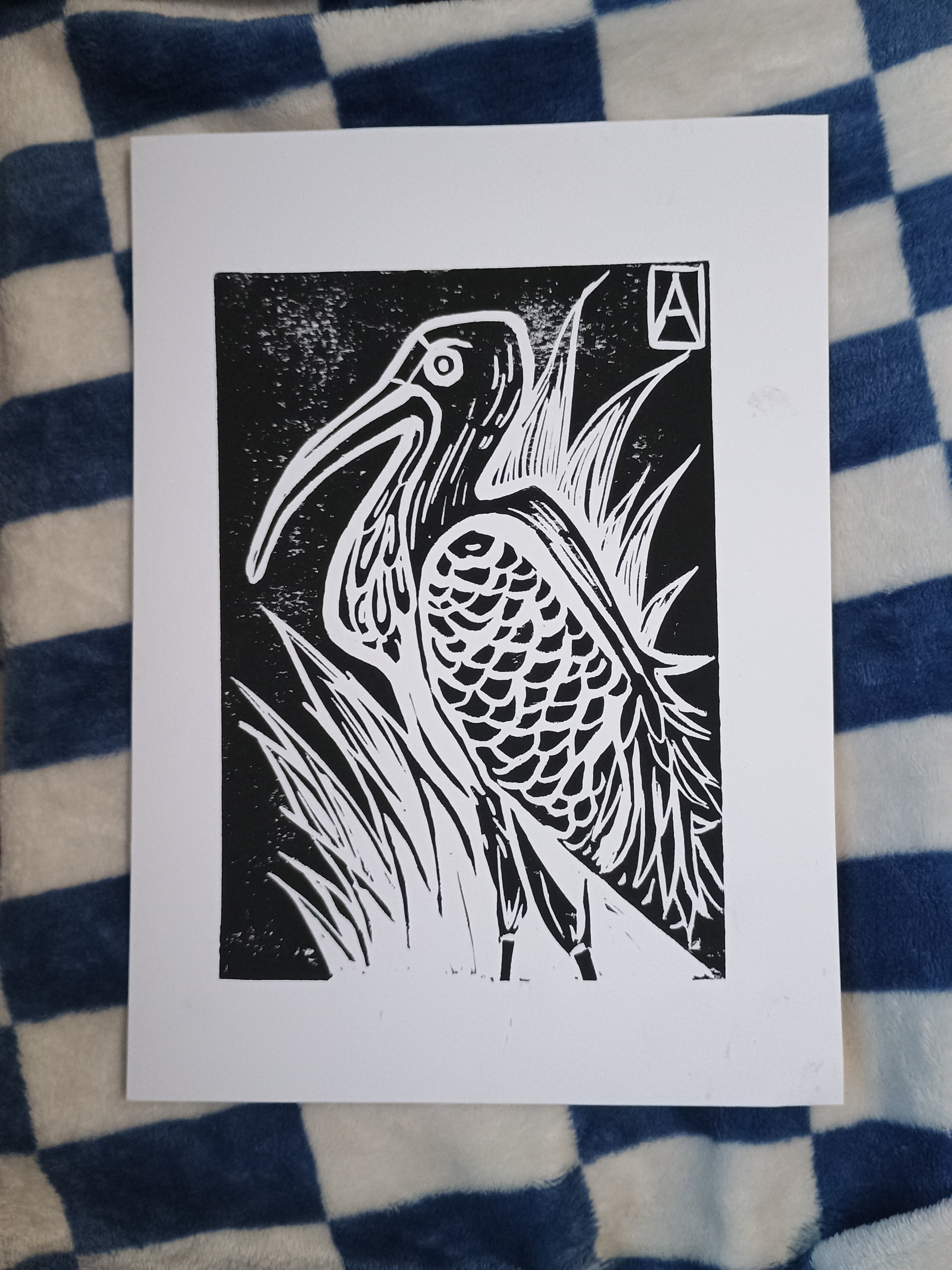 Sacred African Ibis - Birds of Wisdom - Payhip