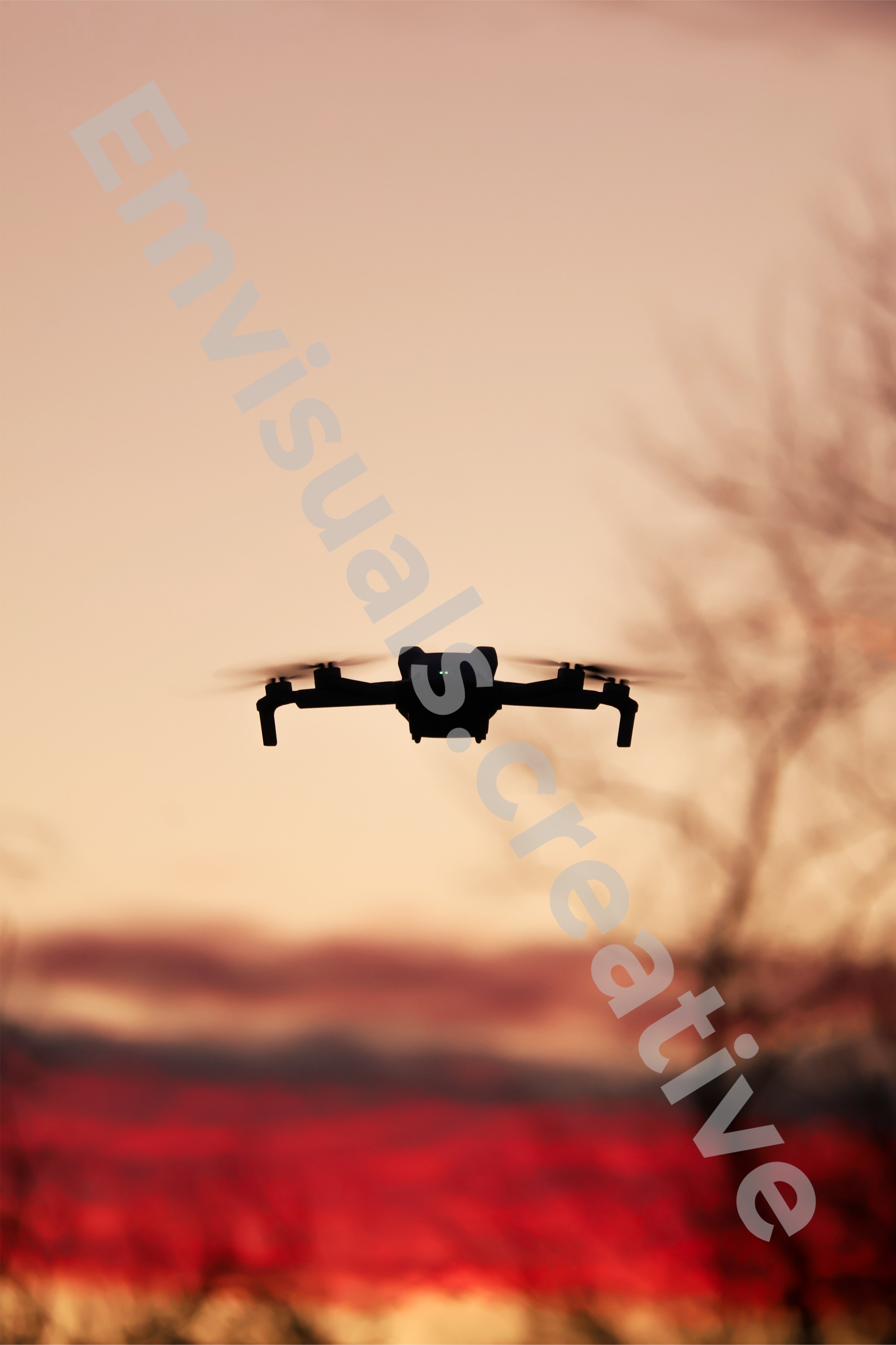 DJI Mini 3 Drone sunset - Payhip