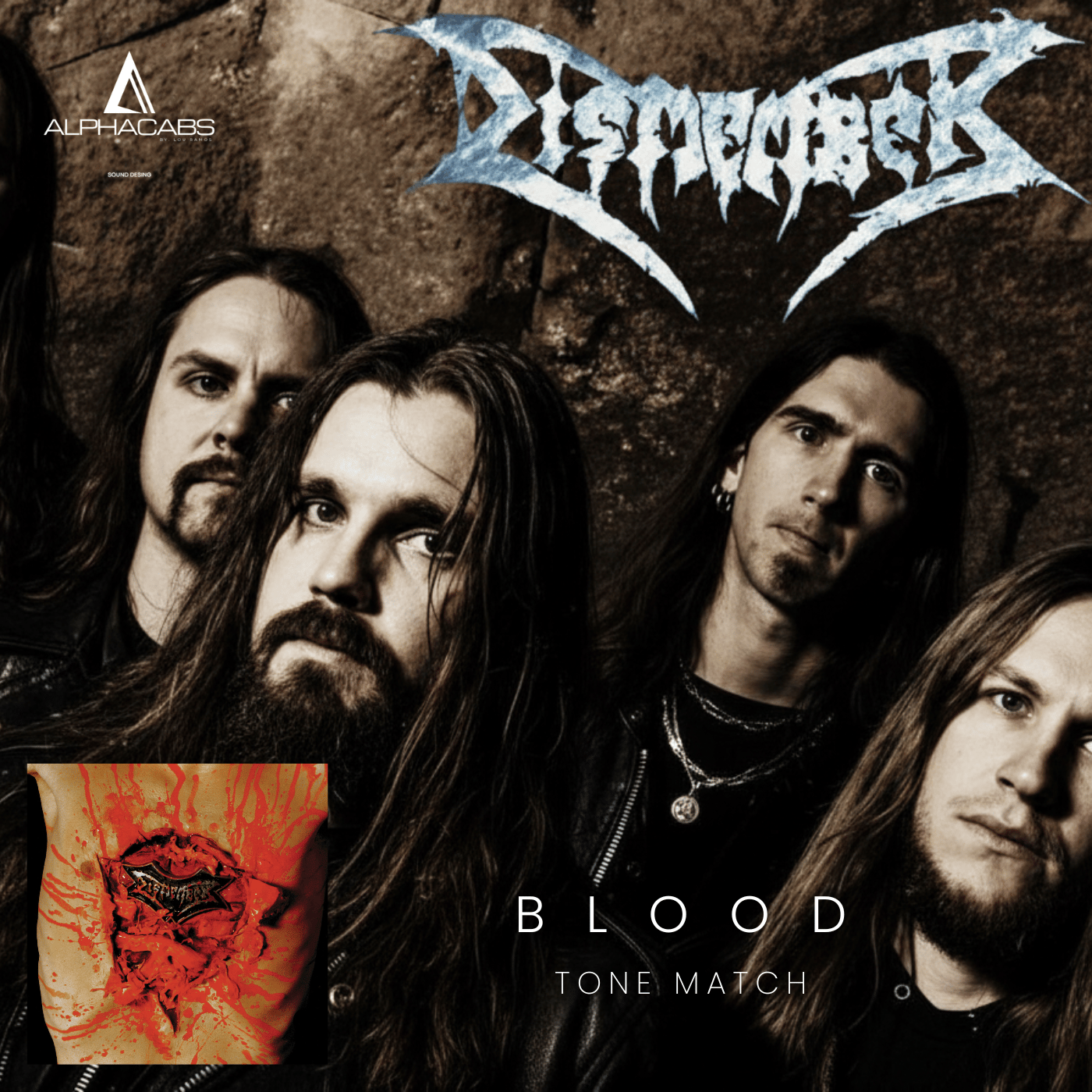 BLOOD ( Dismember TONE MATCH) - Payhip