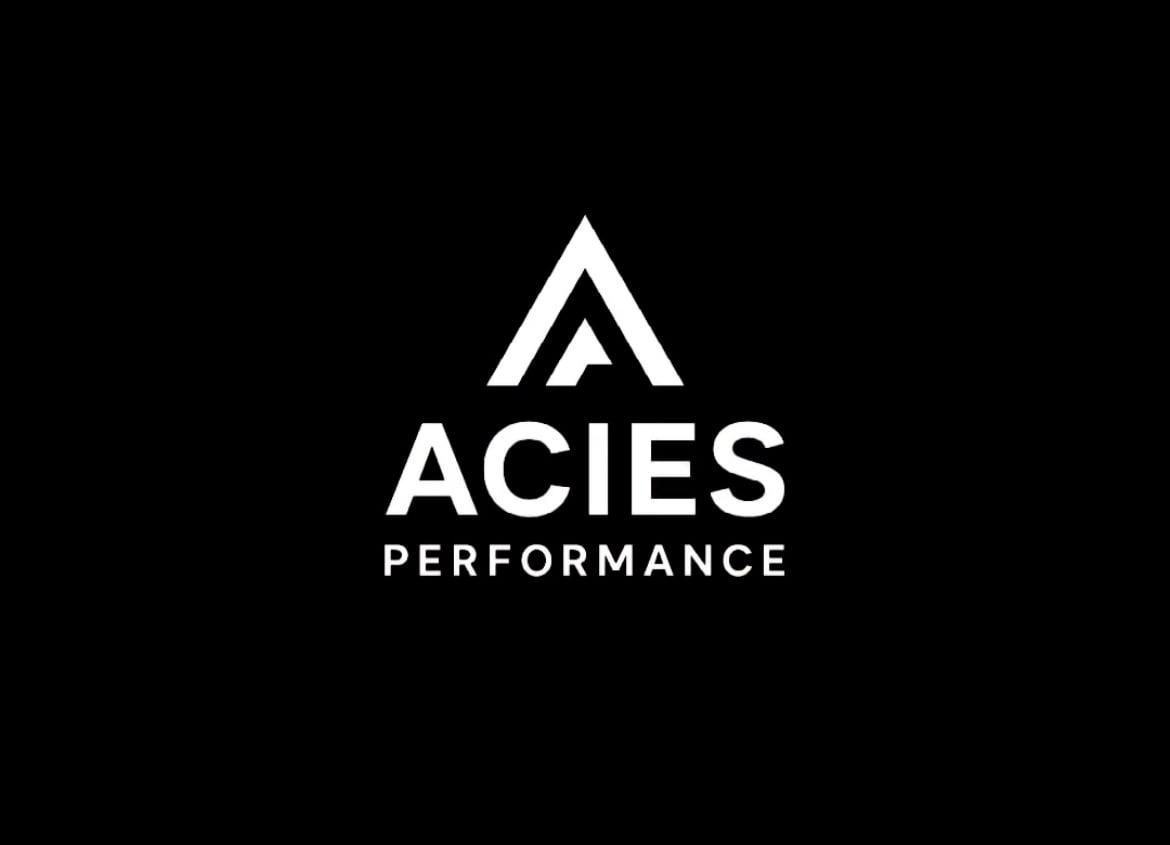 Acies Performance Journal - Payhip