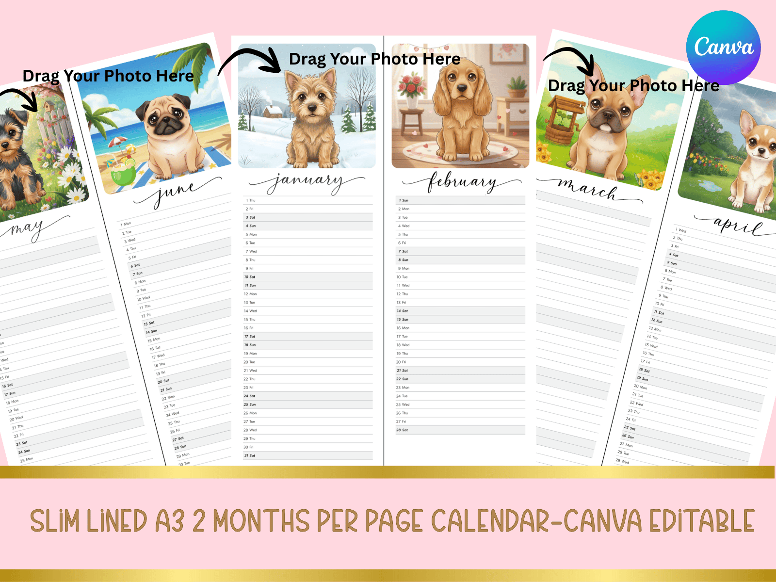 Slim Lined A3 2026 Calendar – Canva Editable | 2 Months Per Page with ...