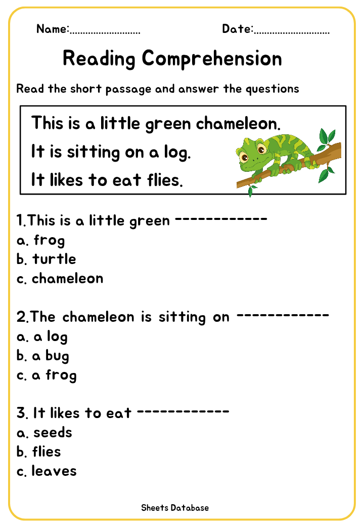 Kindergarten Reading Comprehension Workbook | Easy Passages & Multiple ...
