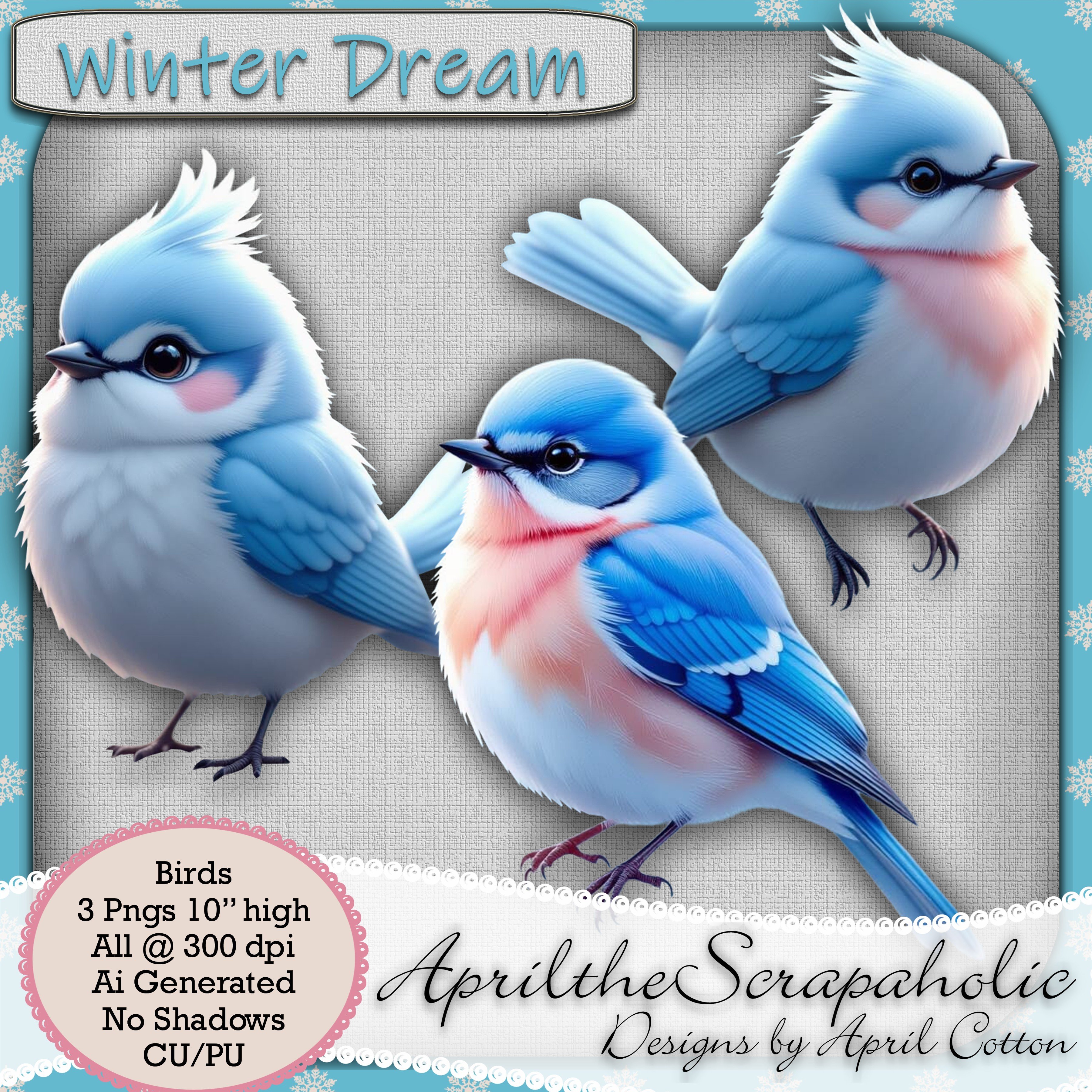 Winter Dream - Birds - Payhip