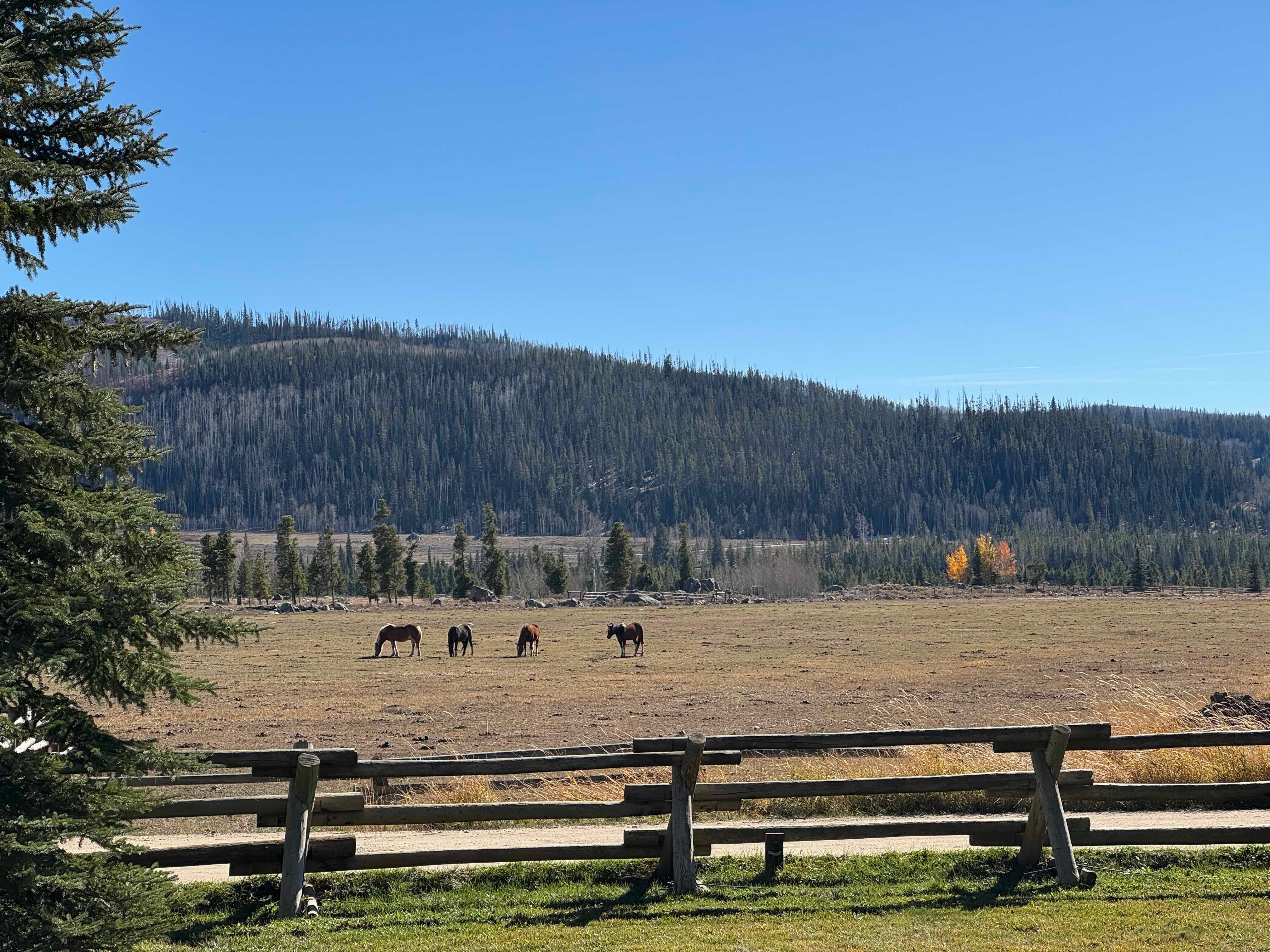 Please See Me Monthly Writing Community - Payhip