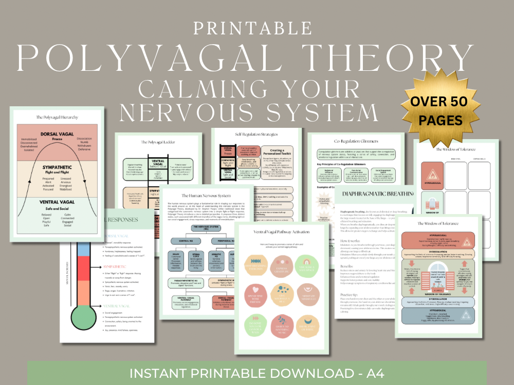Polyvagal bundle - Calming the nervous system download - Payhip