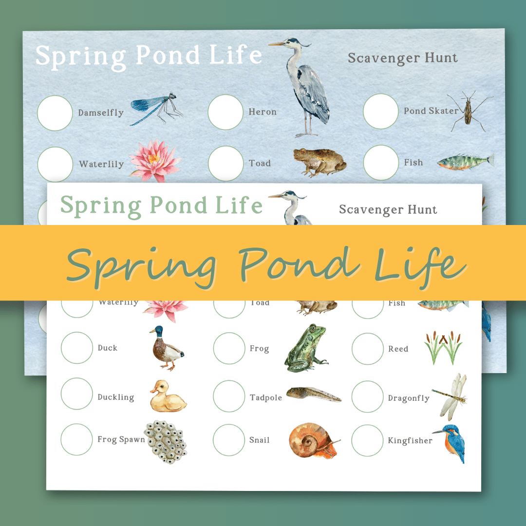 Spring Pond Life Scavenger Hunt - Payhip