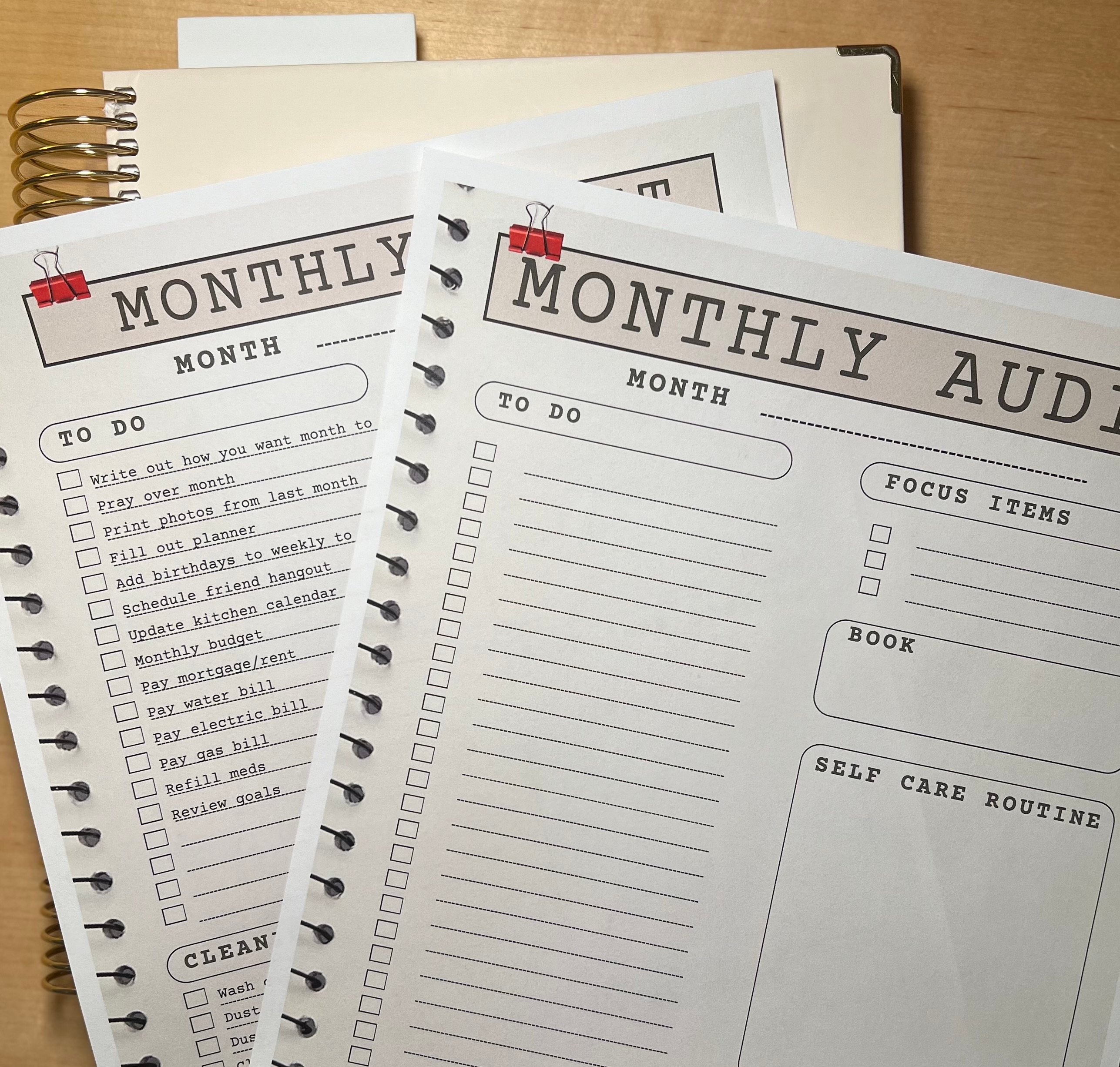 Monthly Audit Bundle (Blank Guided) - Payhip