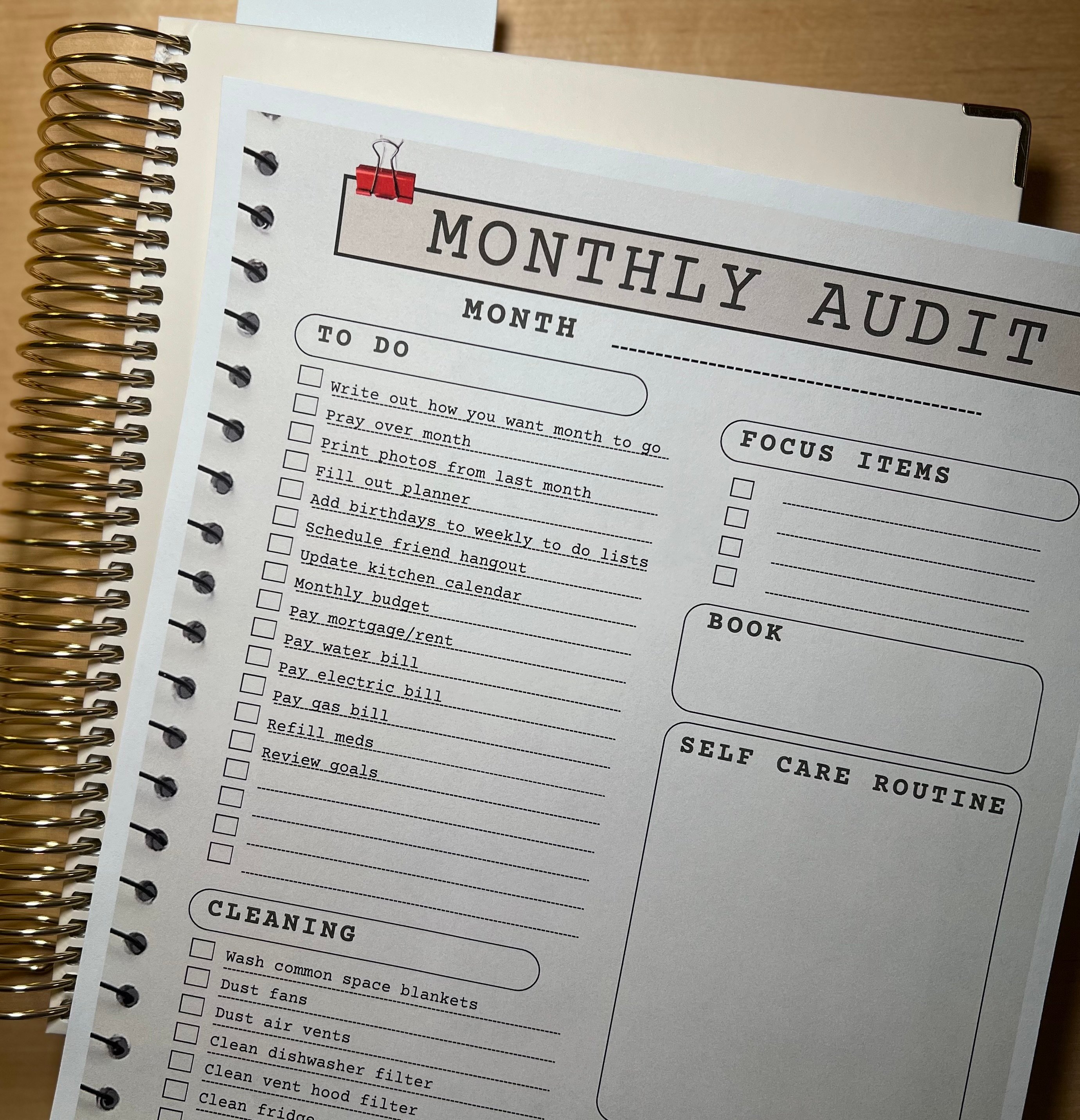 Monthly Audit Guided - Payhip