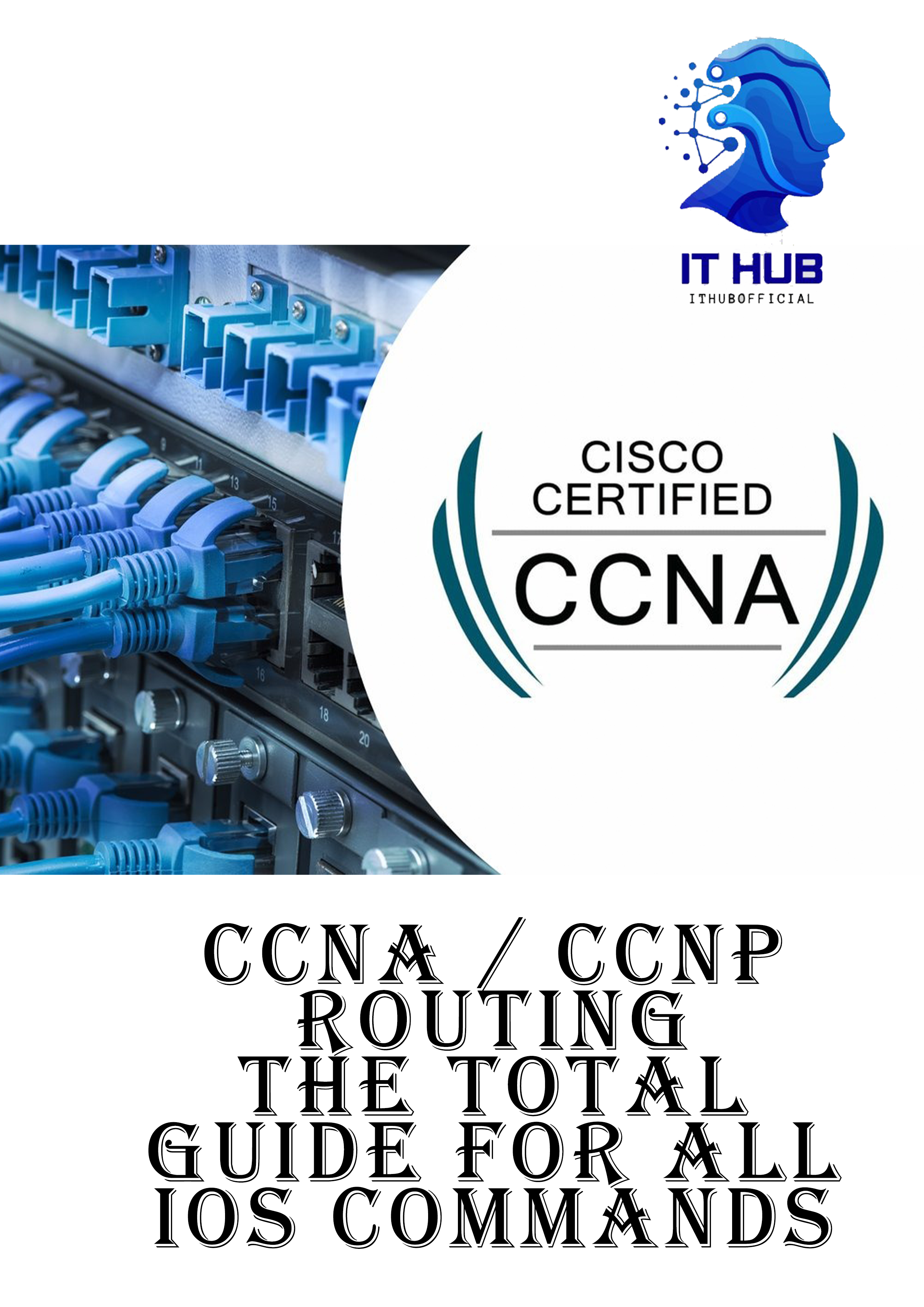 CCNA / CCNP Routing – Complete Guide - Payhip