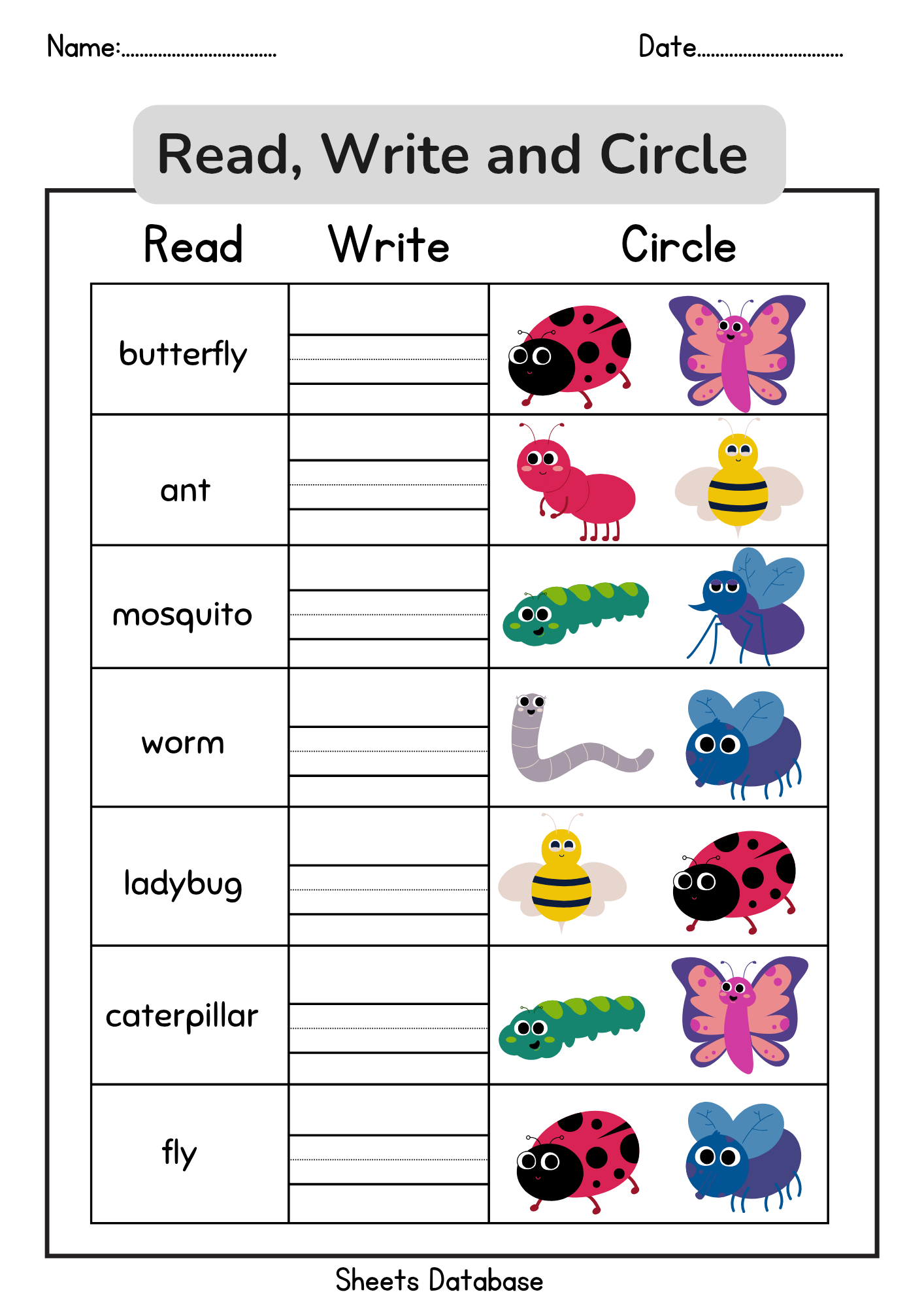 Read, Write and Circle ESL Vocabulary Worksheets - Payhip