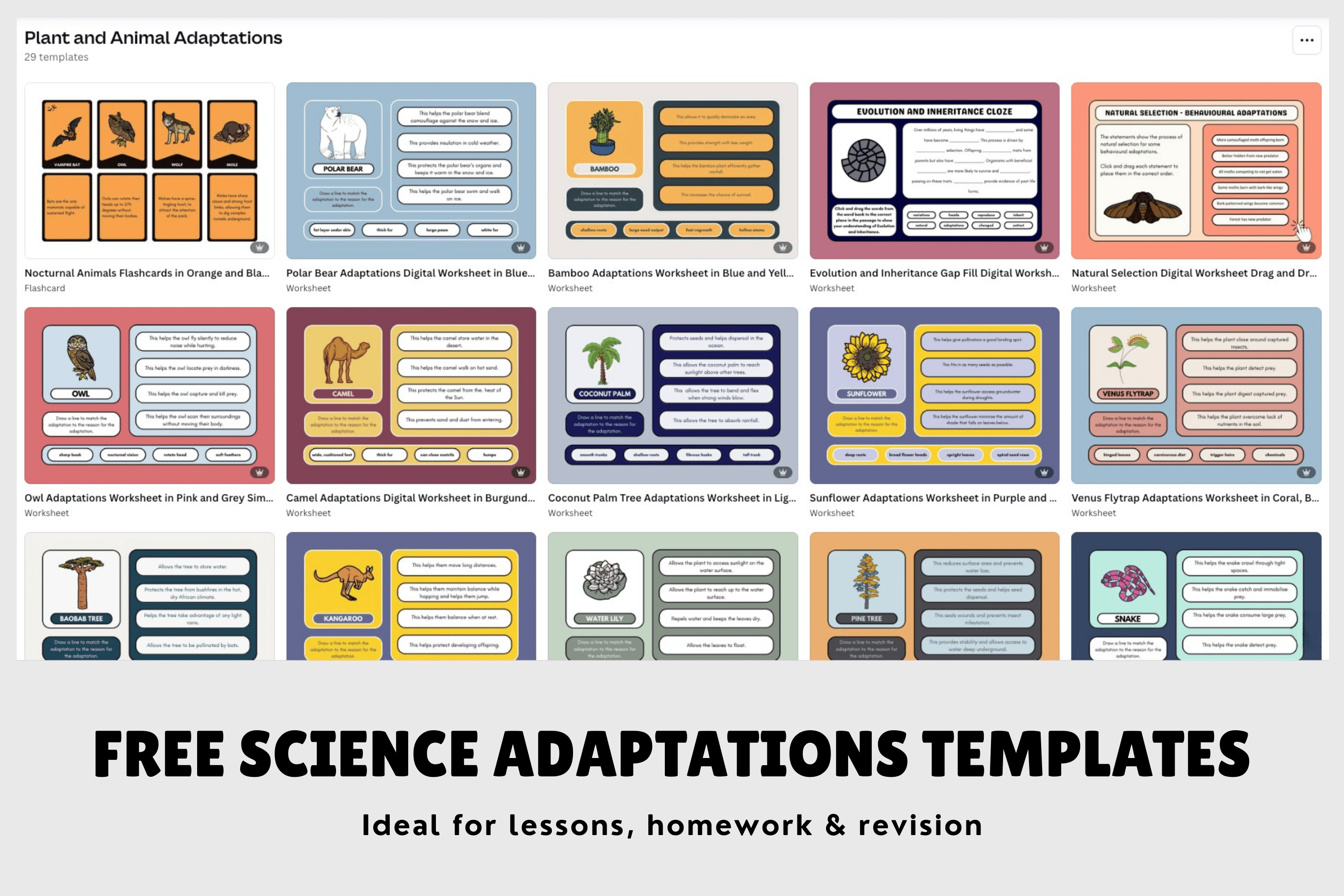 Plant and Animal Adaptations Pack FREE for Teachers with Canva Pro