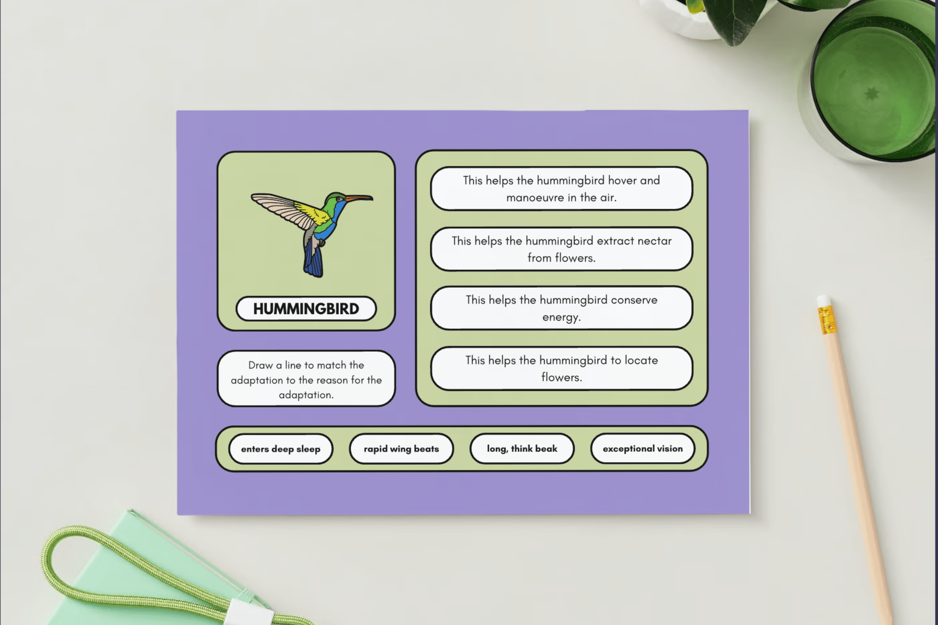 5 Exciting Ways To Teach Animal and Plant Adaptations (KS2, KS3 Science ...