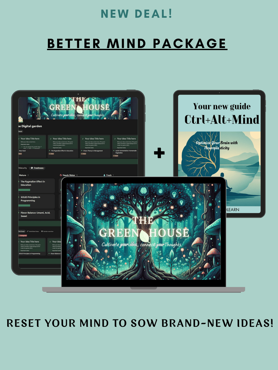 Better Mind Package