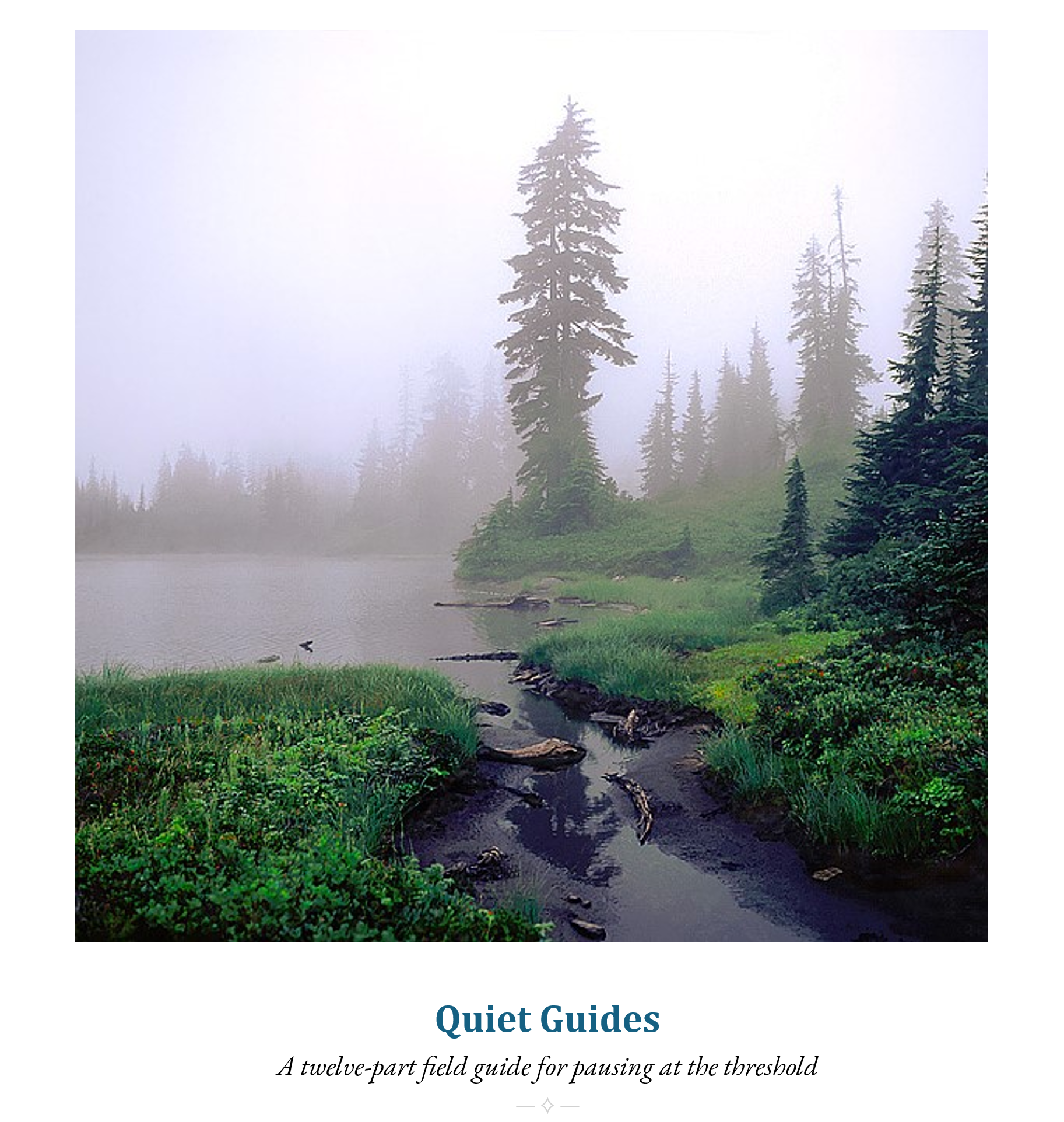 BUNDLE - Quiet Guides - A 12-Set Field Guide Volume - Payhip