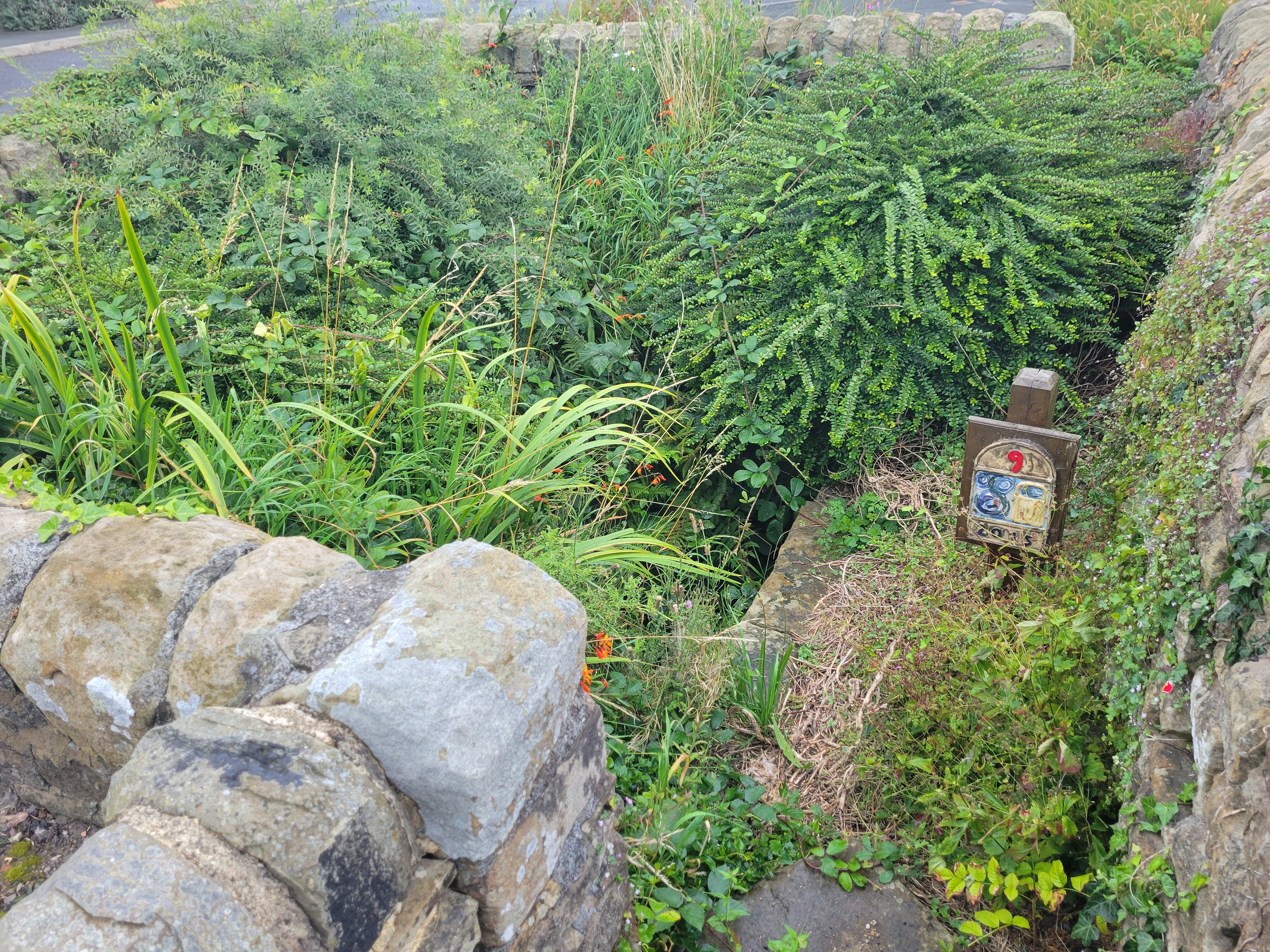 The Legend of Jenny Greenteeth: Lancashire Folklore, Witchcraft & Water ...