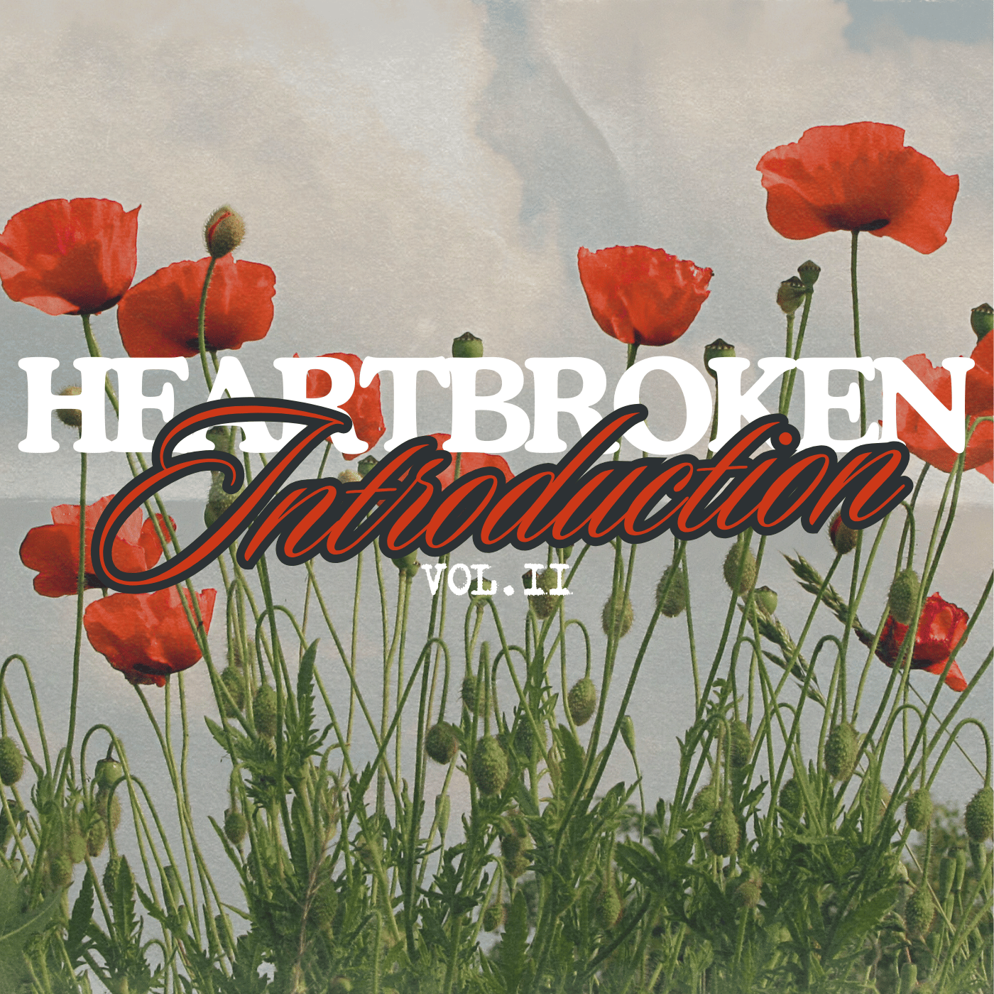Heartbroken Introduction VOL II - Pop Punk Guitar Kit - Payhip