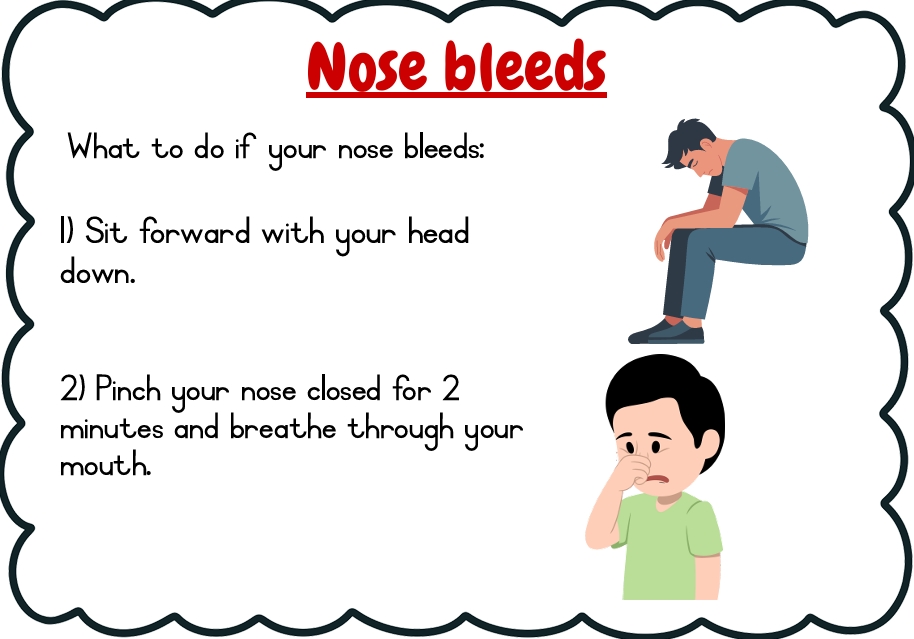 Burns, Cuts and Nose Bleeds - Payhip