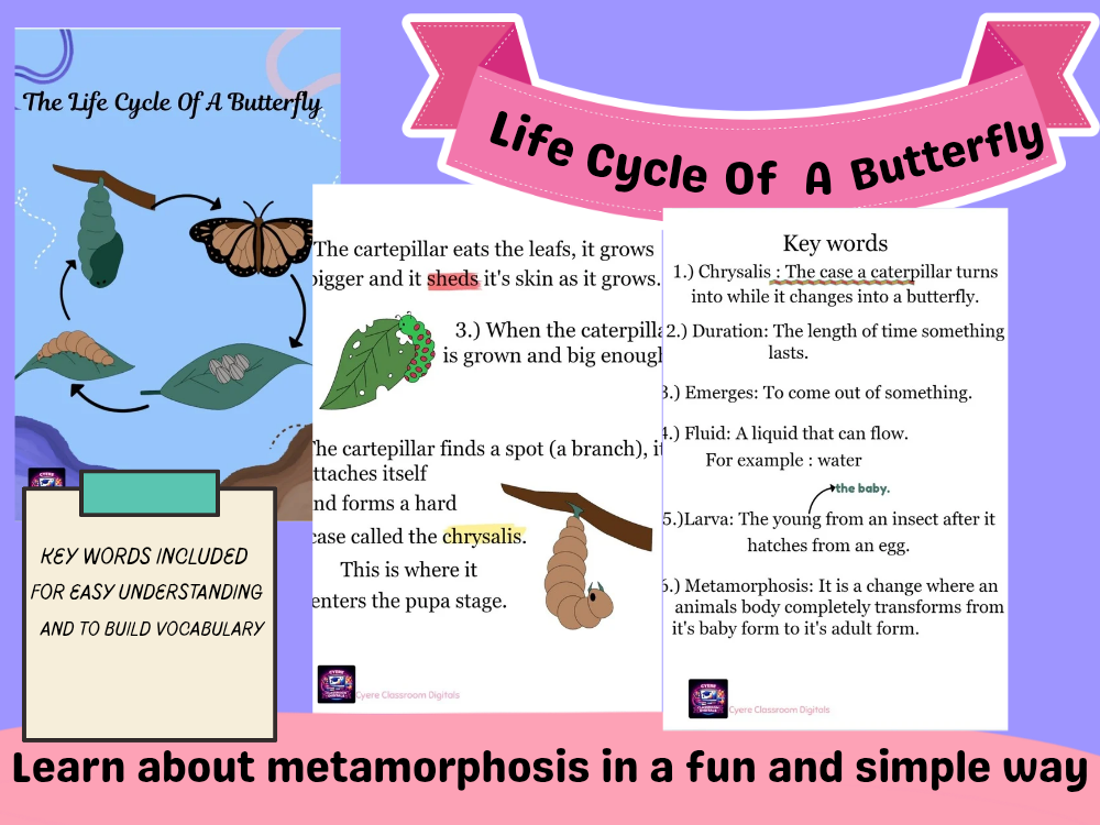 Butterfly Life Cycle Workbook | Metamorphosis Made Simple - Payhip