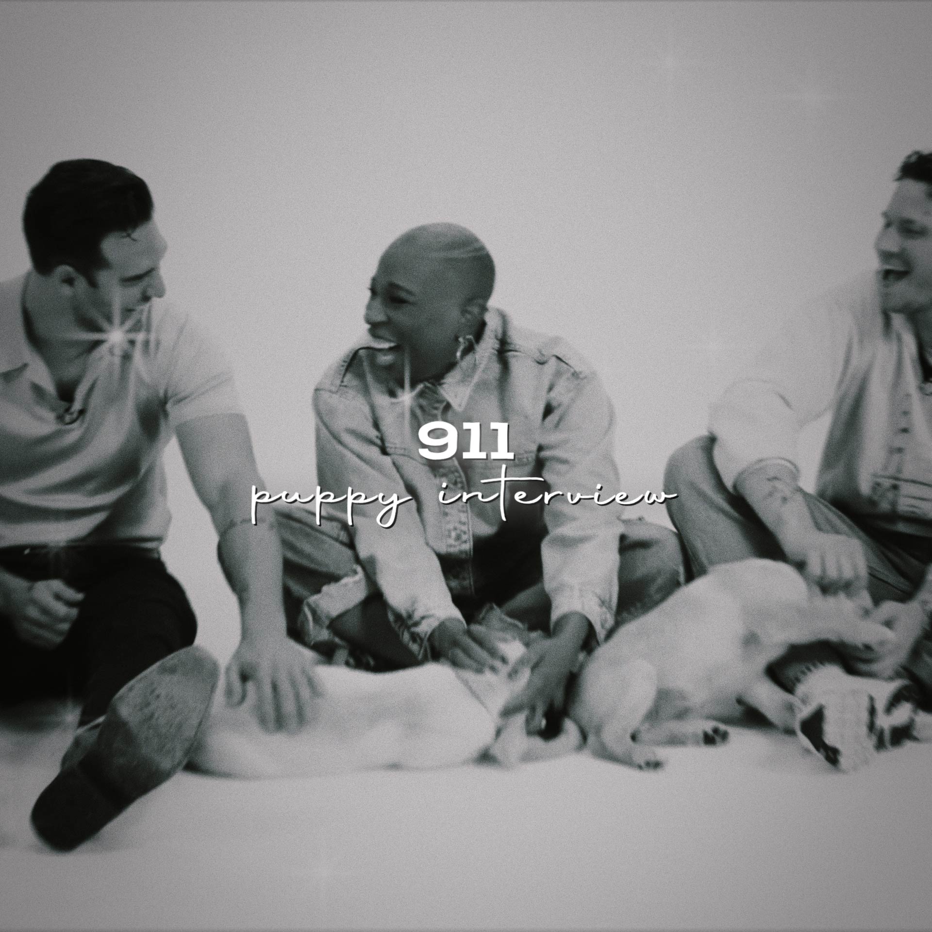 911 ౨ৎ puppy interview ! - Payhip