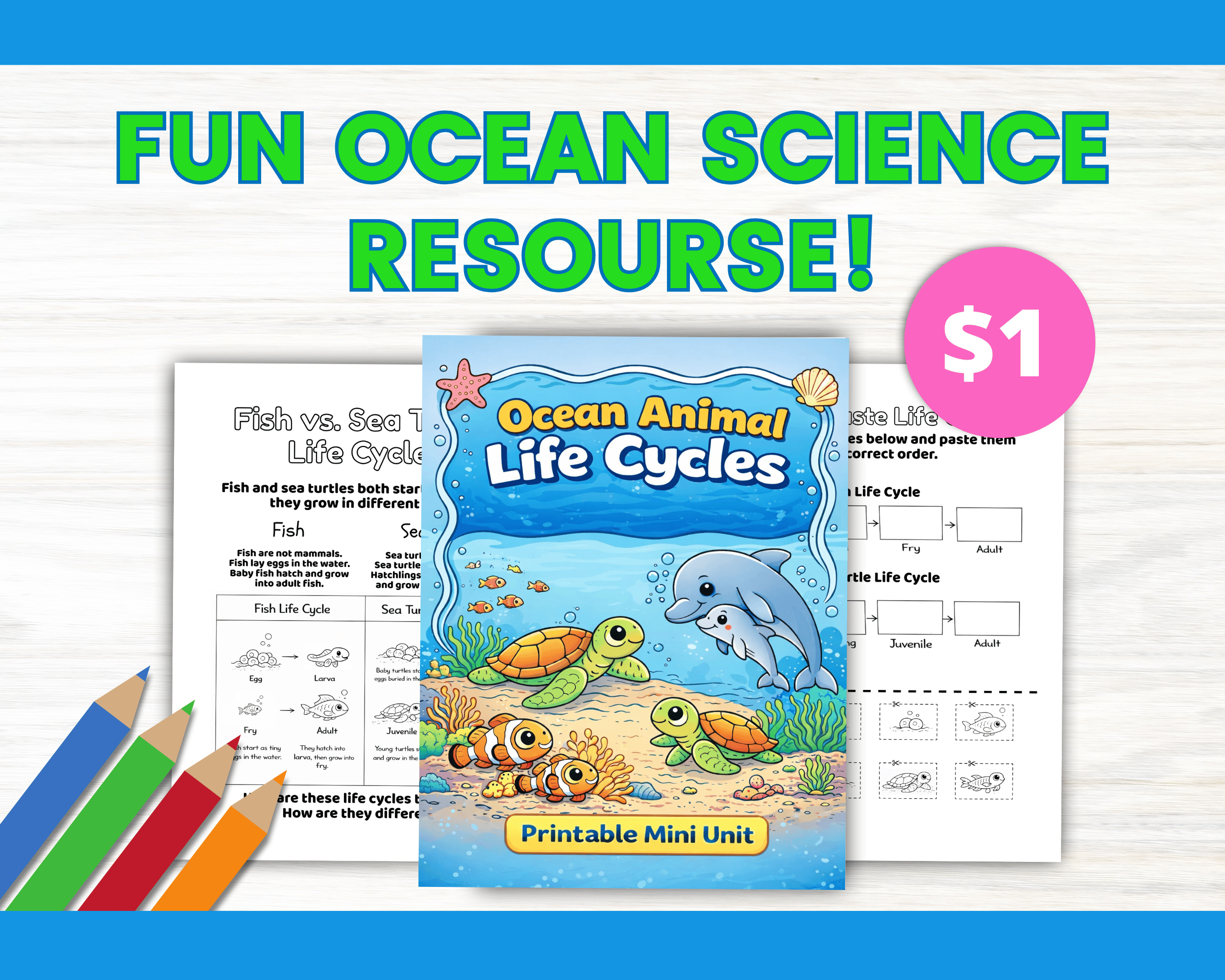 Ocean Animal Life Cycles – Mini Unit - Payhip