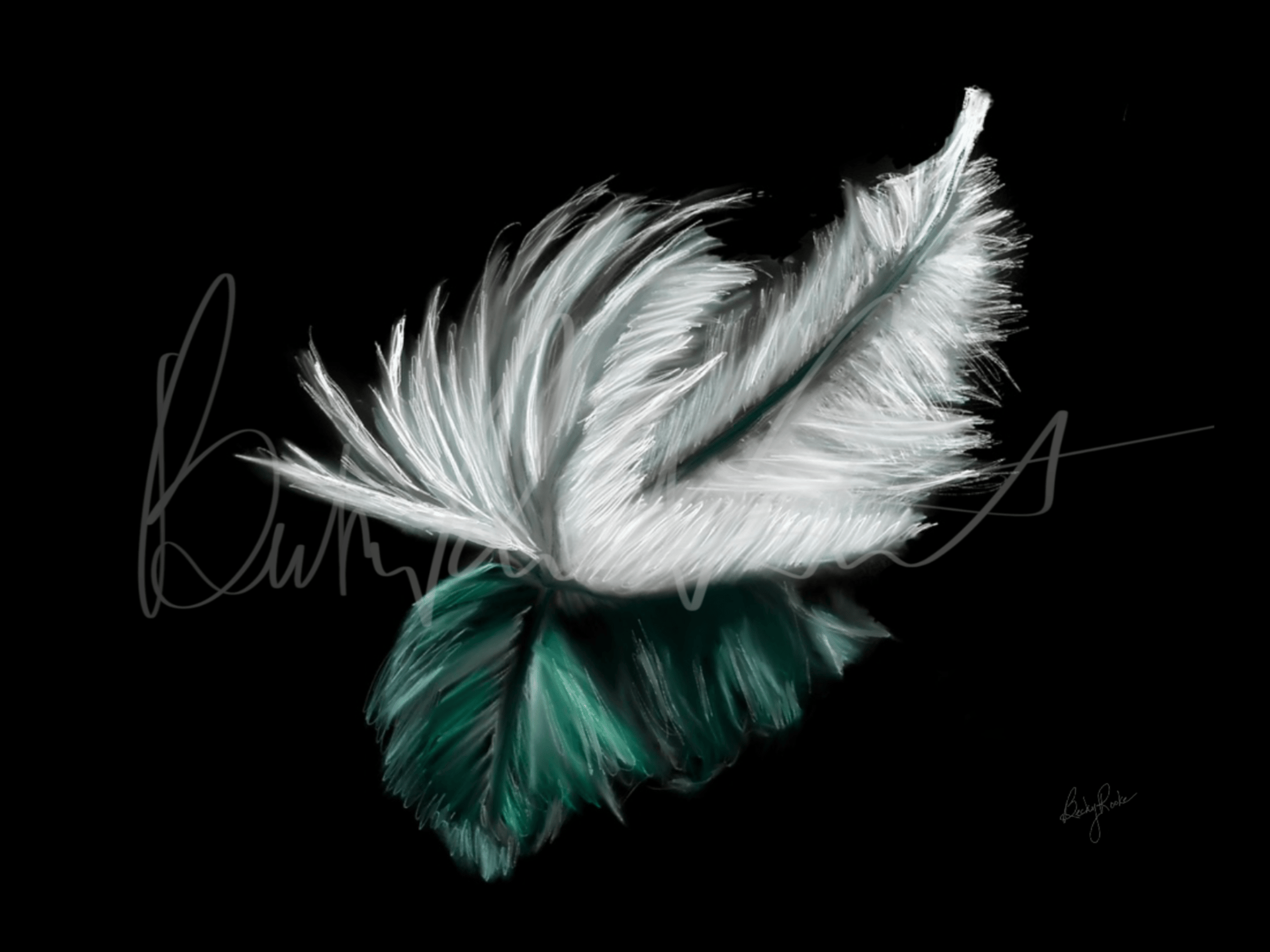 Feather Study (Stillness & Motion) - Payhip