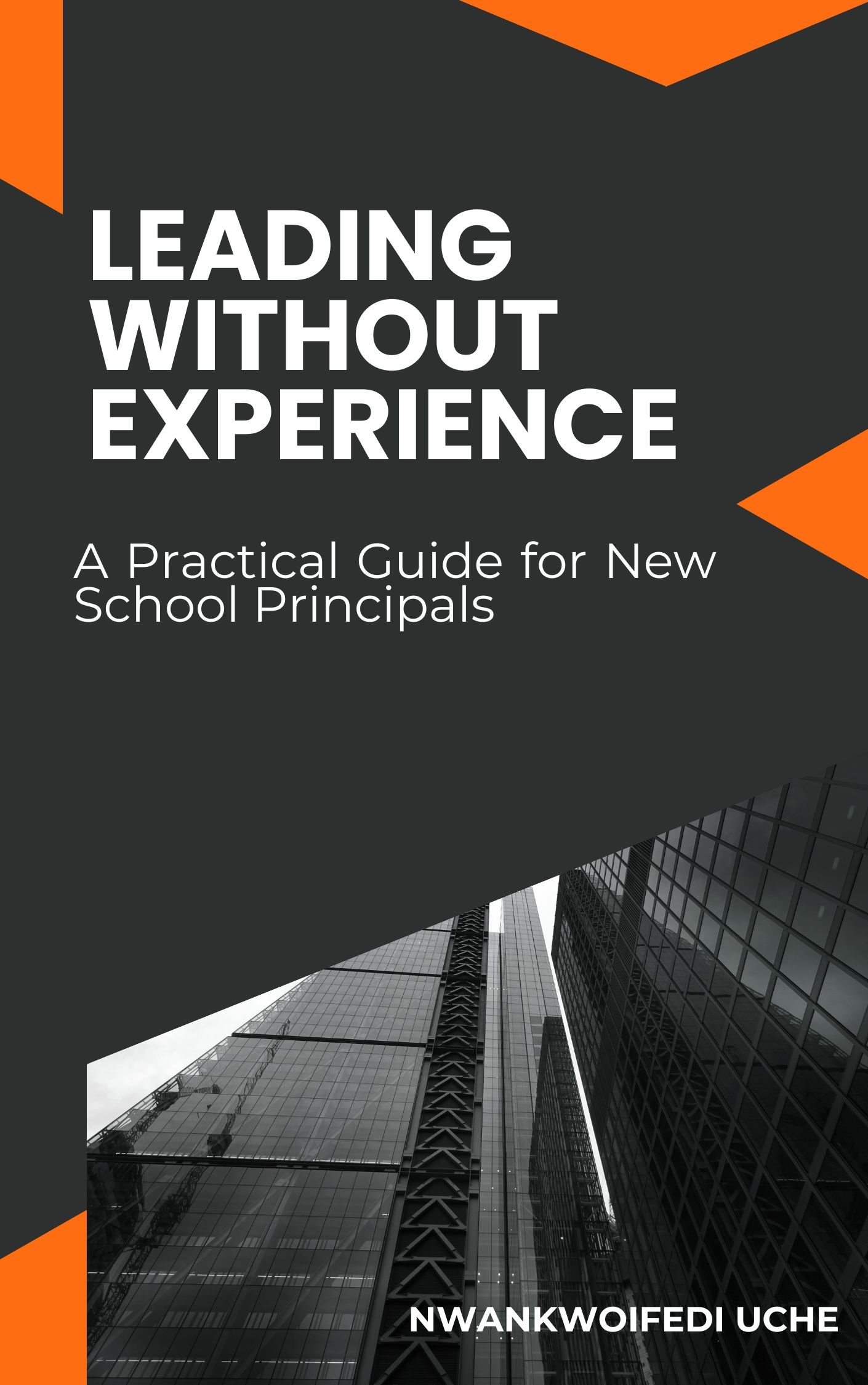 Leading Without Experience: A Practical Guide for New School Principals ...
