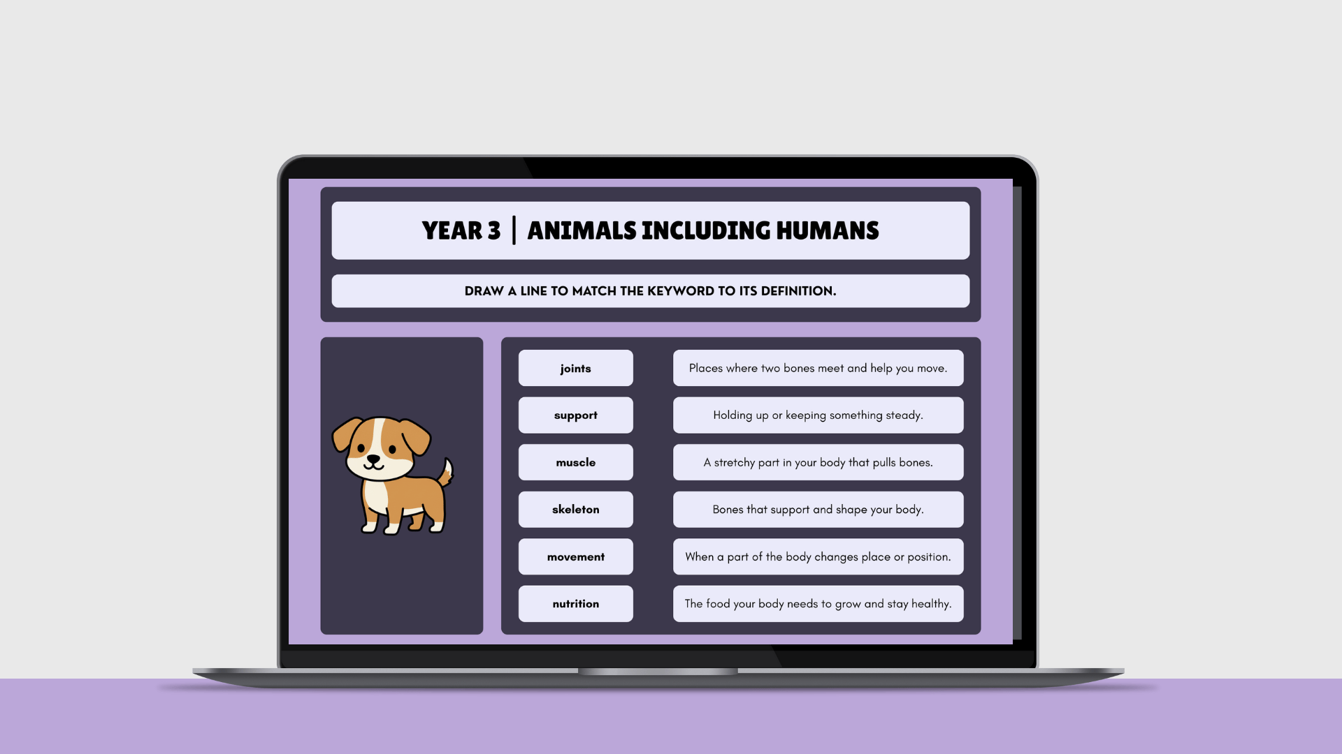 Year 3 Science Vocabulary Matching | Canva Editable Worksheets