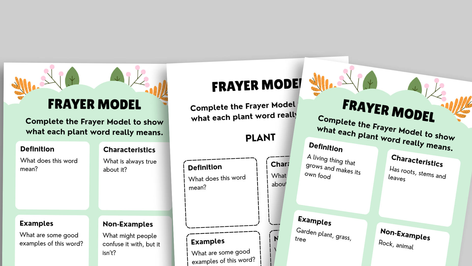 Year 3 Science Frayer Models - Vocabulary Activities