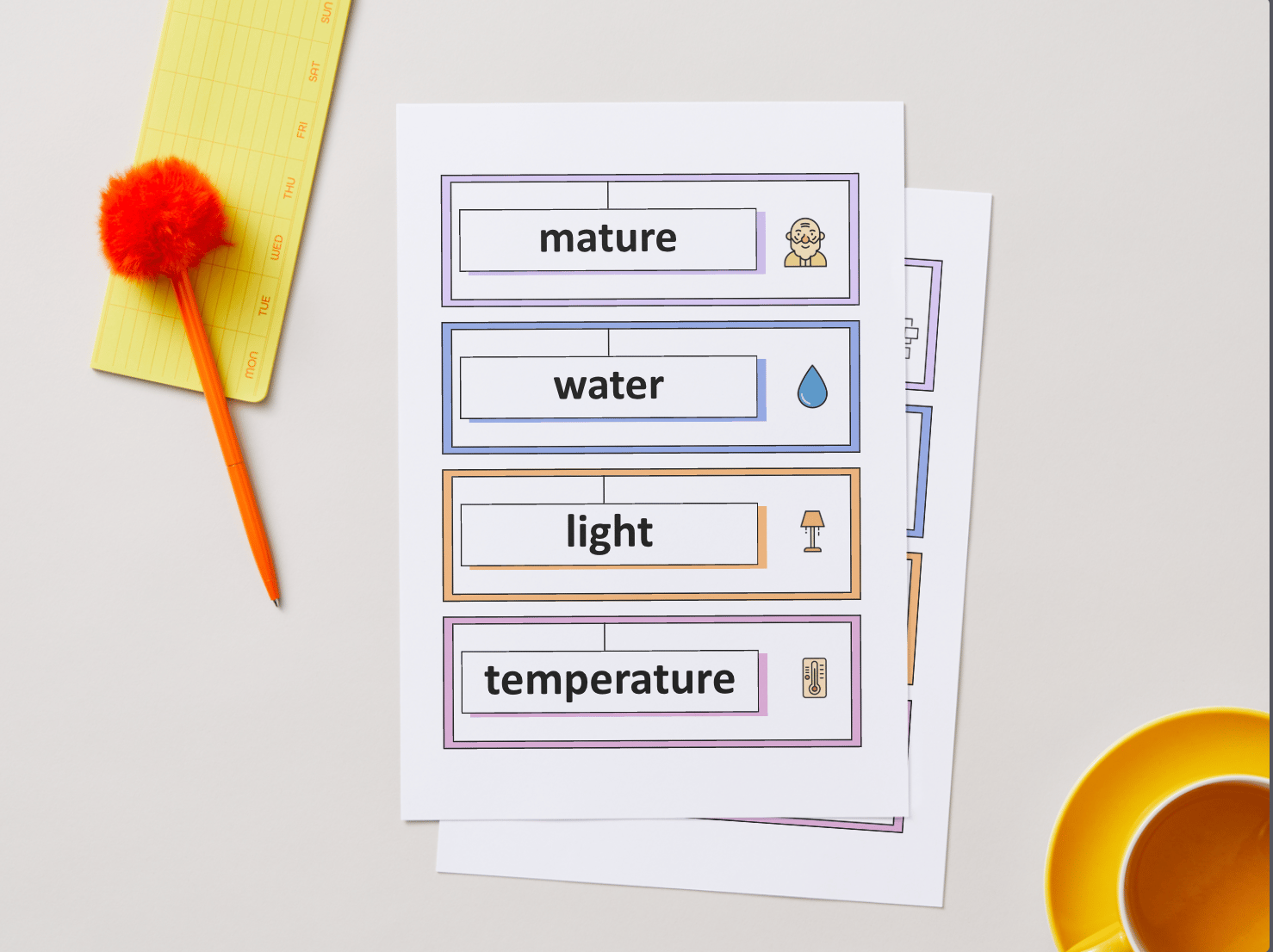 5 Ways to Use Science Vocabulary Labels in Your Primary Classroom