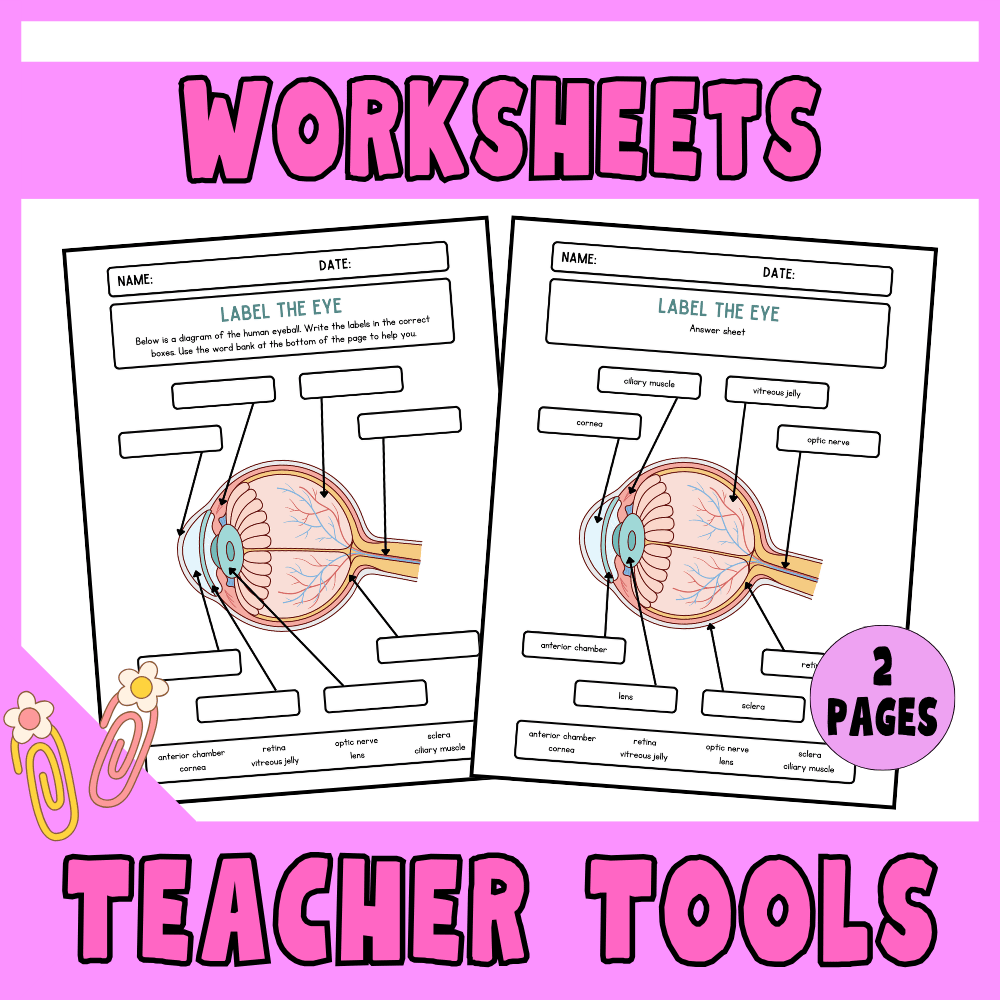 Human Eye Labelling Biological Worksheet