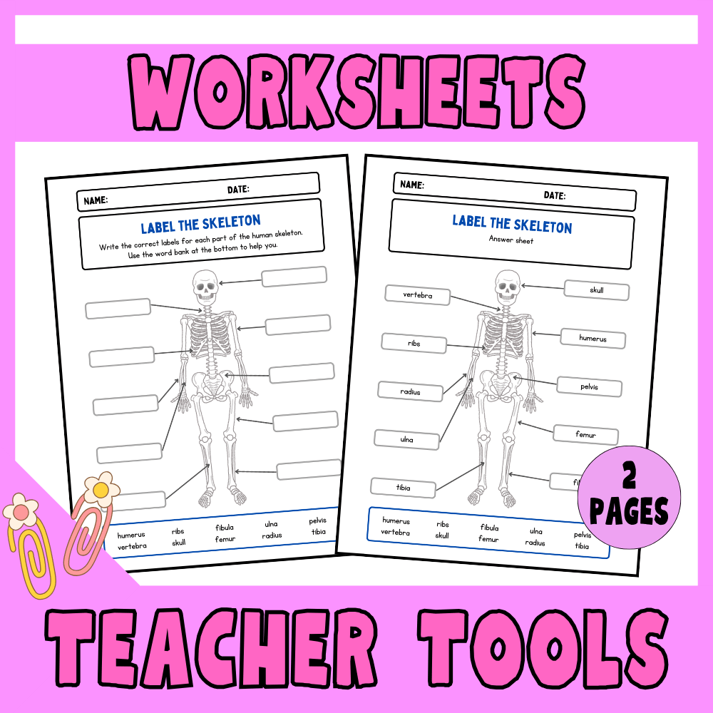 Human Skeleton Labelling Science Activity Worksheet