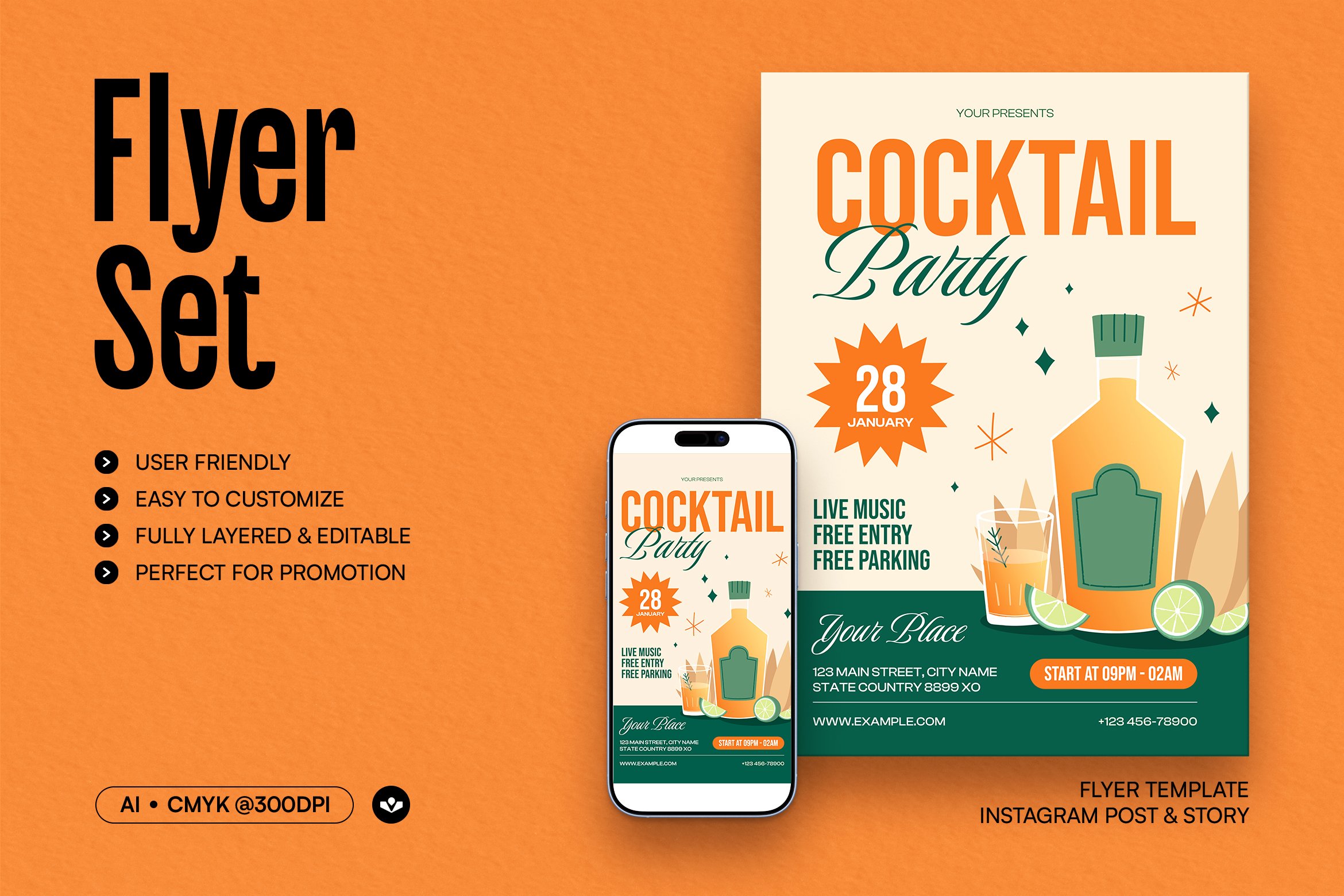 Cocktail Party Flyer - Payhip