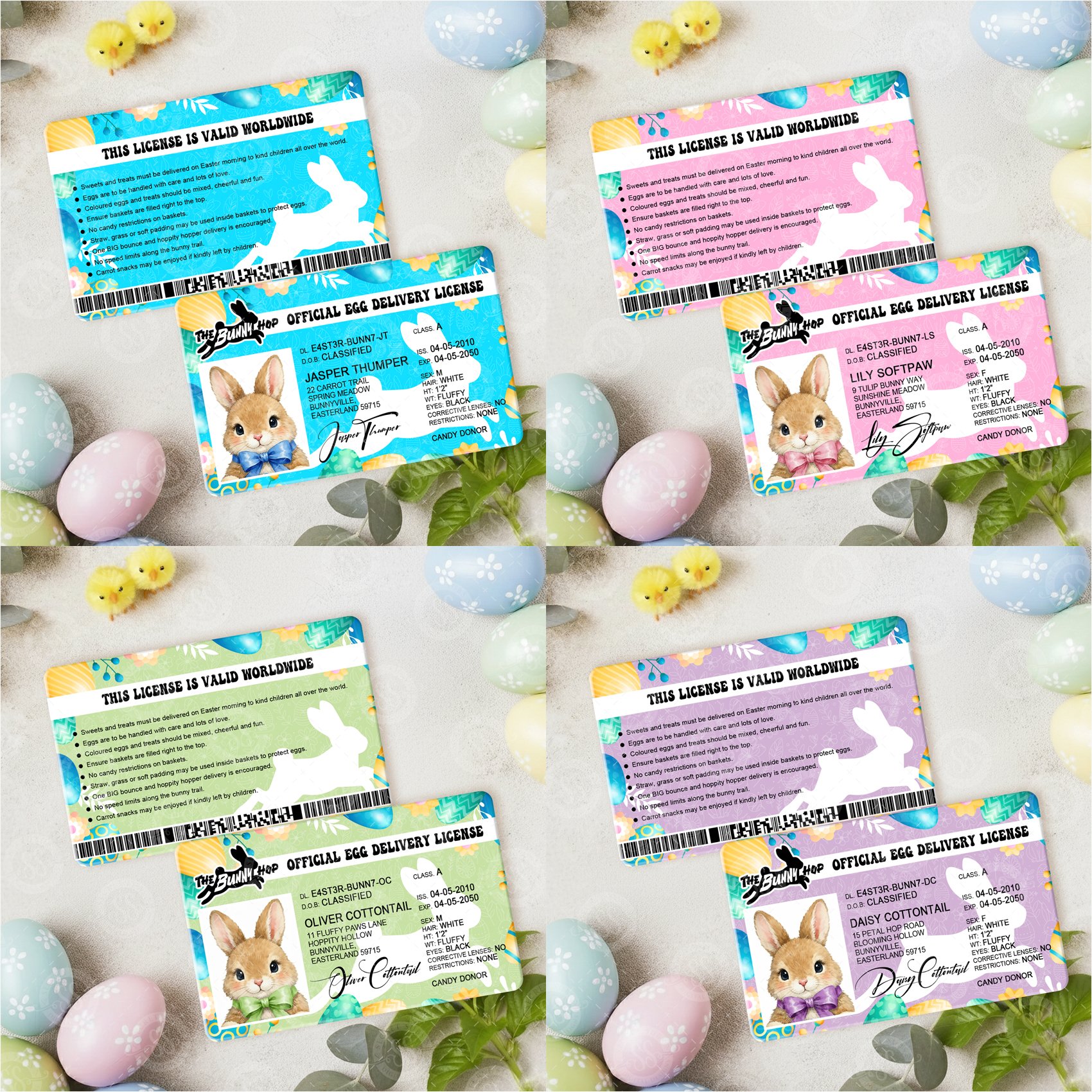 Easter Bunny Driver's License Bundle - Payhip