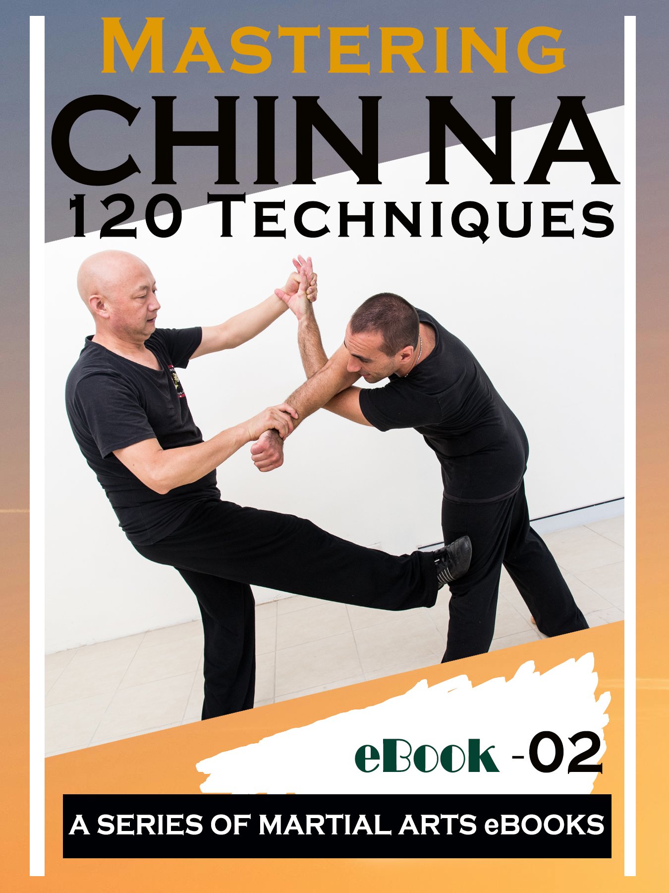 Mastering Chin Na 120 Techniques e-Book -02 - Payhip