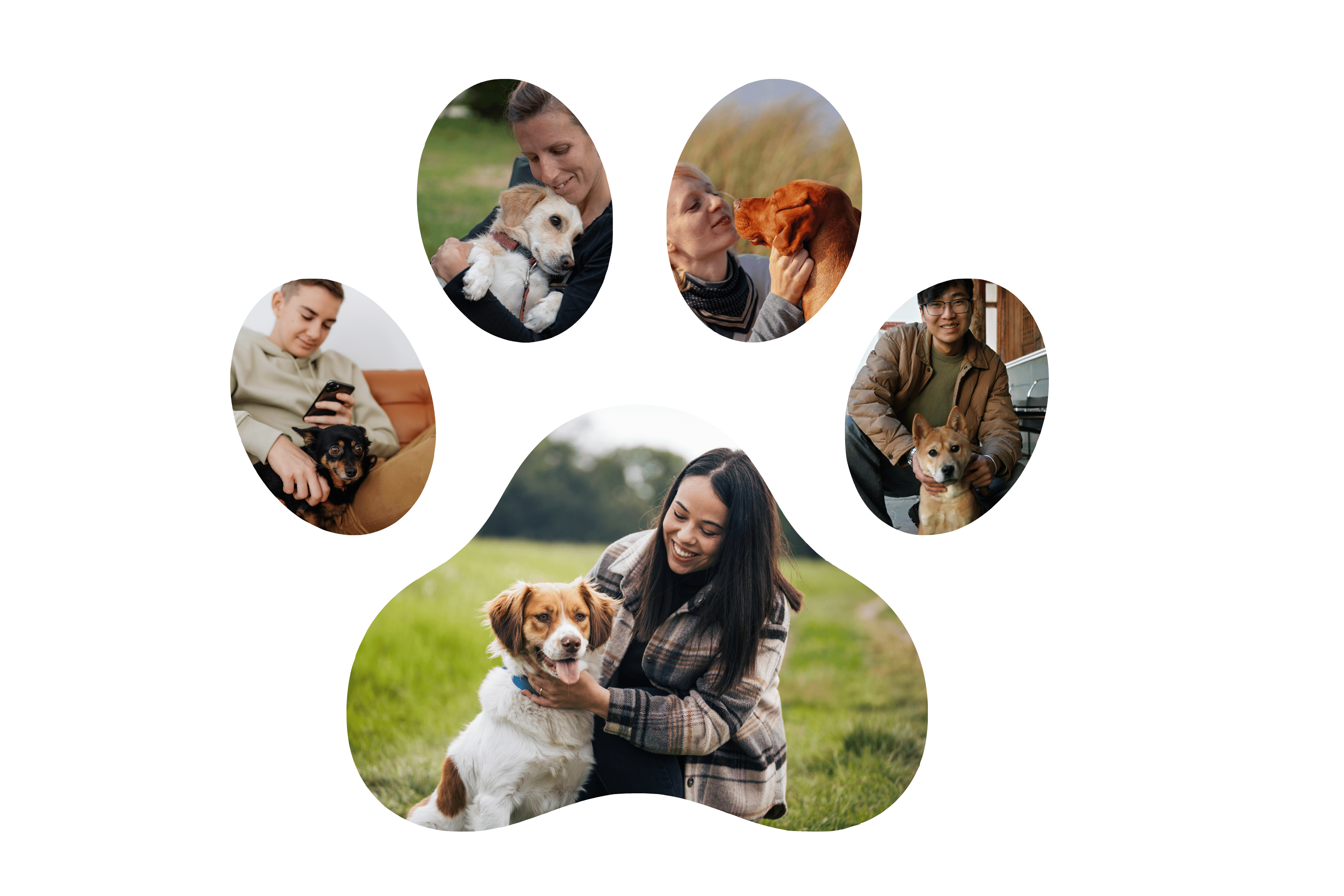 Dog Paw Photo Collage Template | Instant Digital Download - Payhip