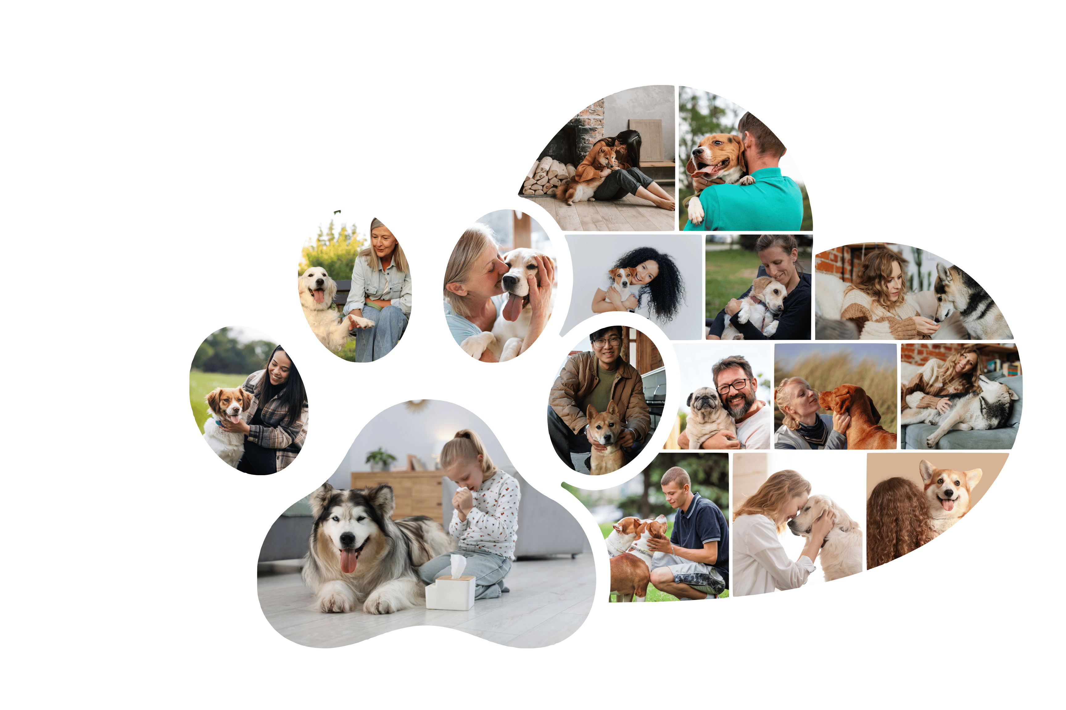 Dog Paw with Heart Photo Collage Template | Instant Digital Download ...