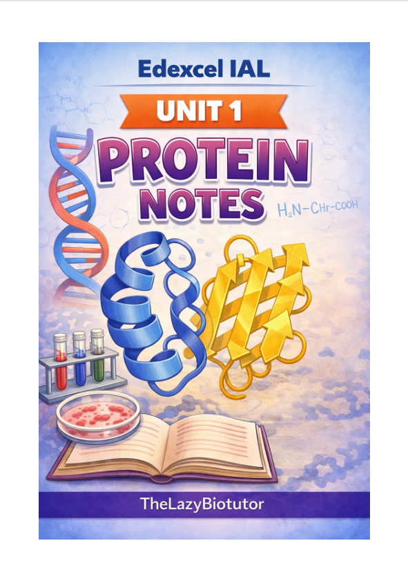 📚 Edexcel IAL Biology Unit 1 – Protein Notes