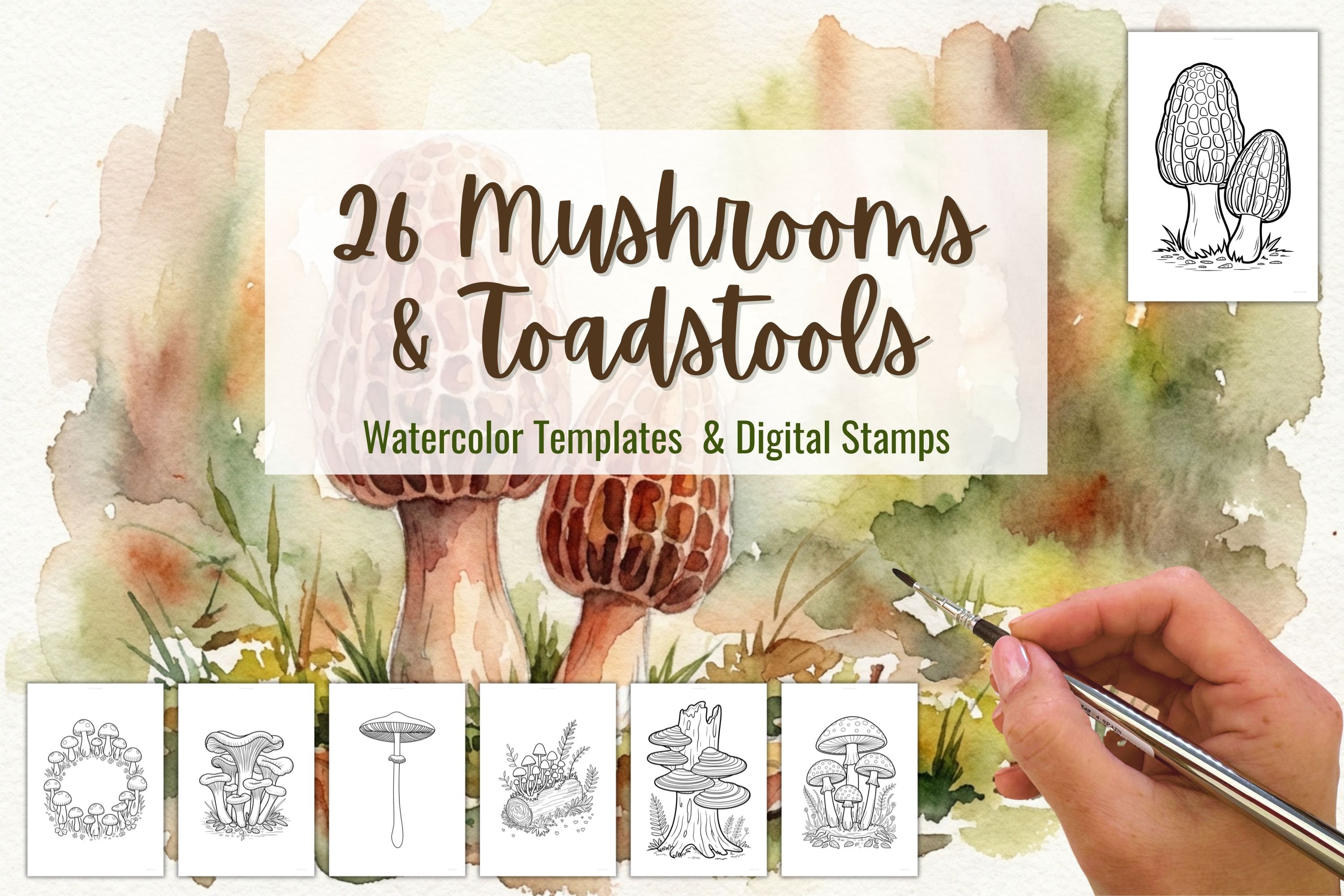 Mushrooms & Toadstools Watercolor Templates & Digital Stamps | 26 ...