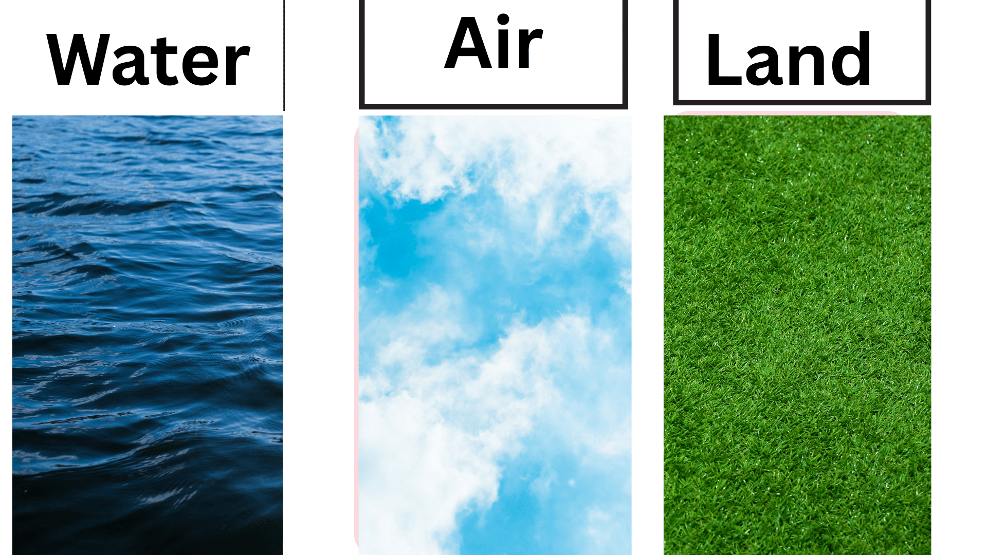 Land, Water, Air – Sorting Activity for Kids - Payhip