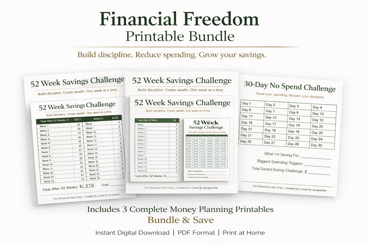 Financial Freedom Printable Bundle – 52 Week Savings Blank Tracker 30 ...