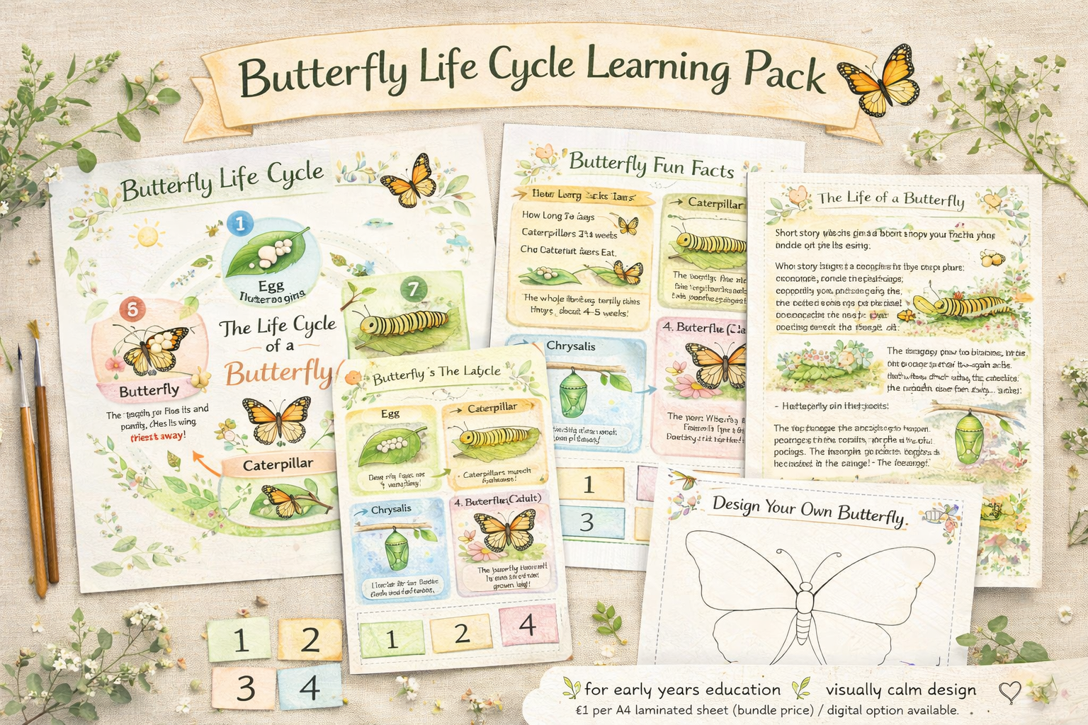 Butterfly Life Cycle Learning Pack – Calm, Visual Early Years Topic ...